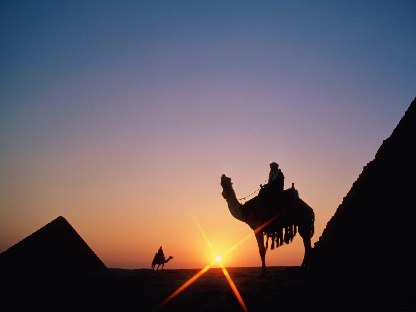 Camel Ride Wallpapers - Top Free Camel Ride Backgrounds - WallpaperAccess