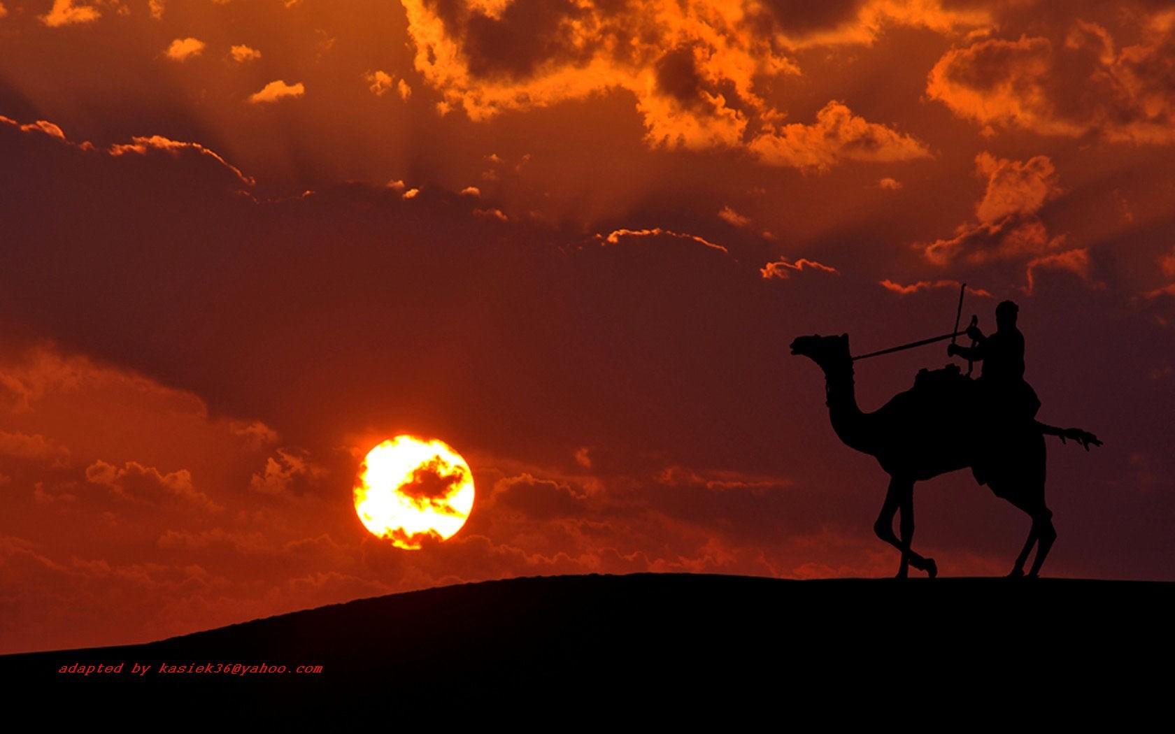 Camel Ride Wallpapers - Top Free Camel Ride Backgrounds - WallpaperAccess