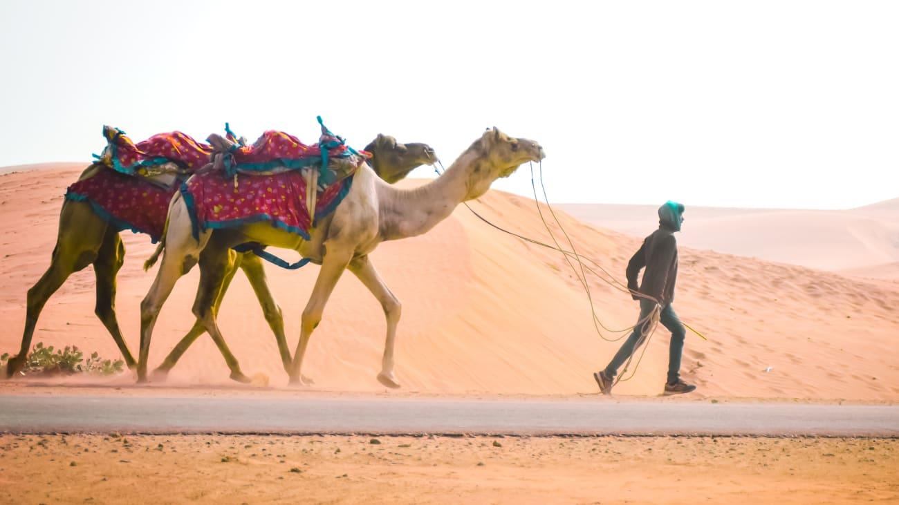 Camel Ride Wallpapers - Top Free Camel Ride Backgrounds - WallpaperAccess