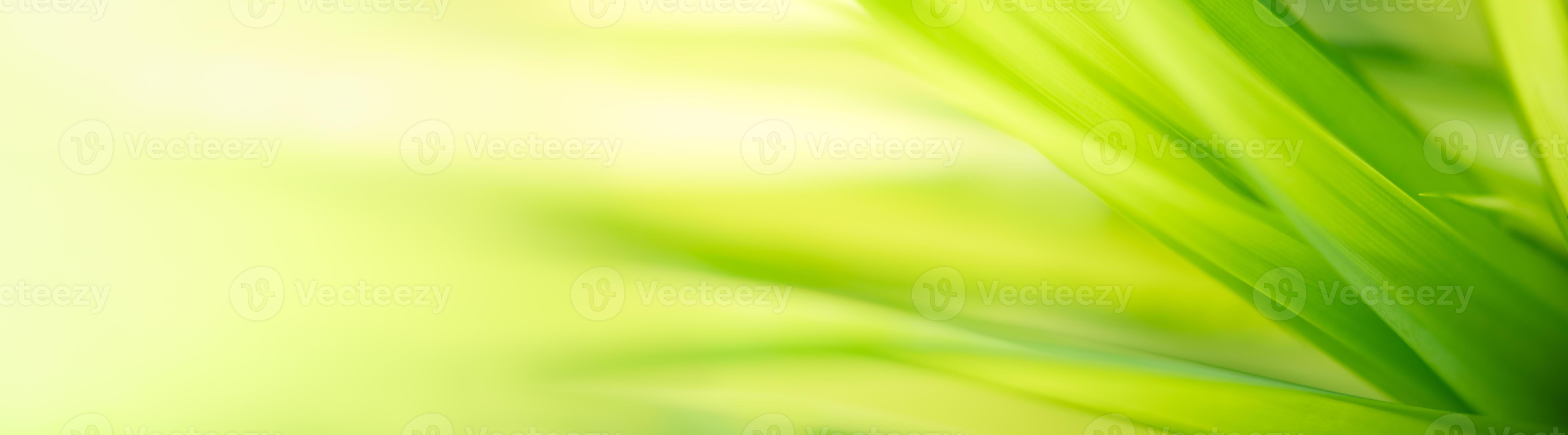 Natural Environment Wallpapers - Top Free Natural Environment ...