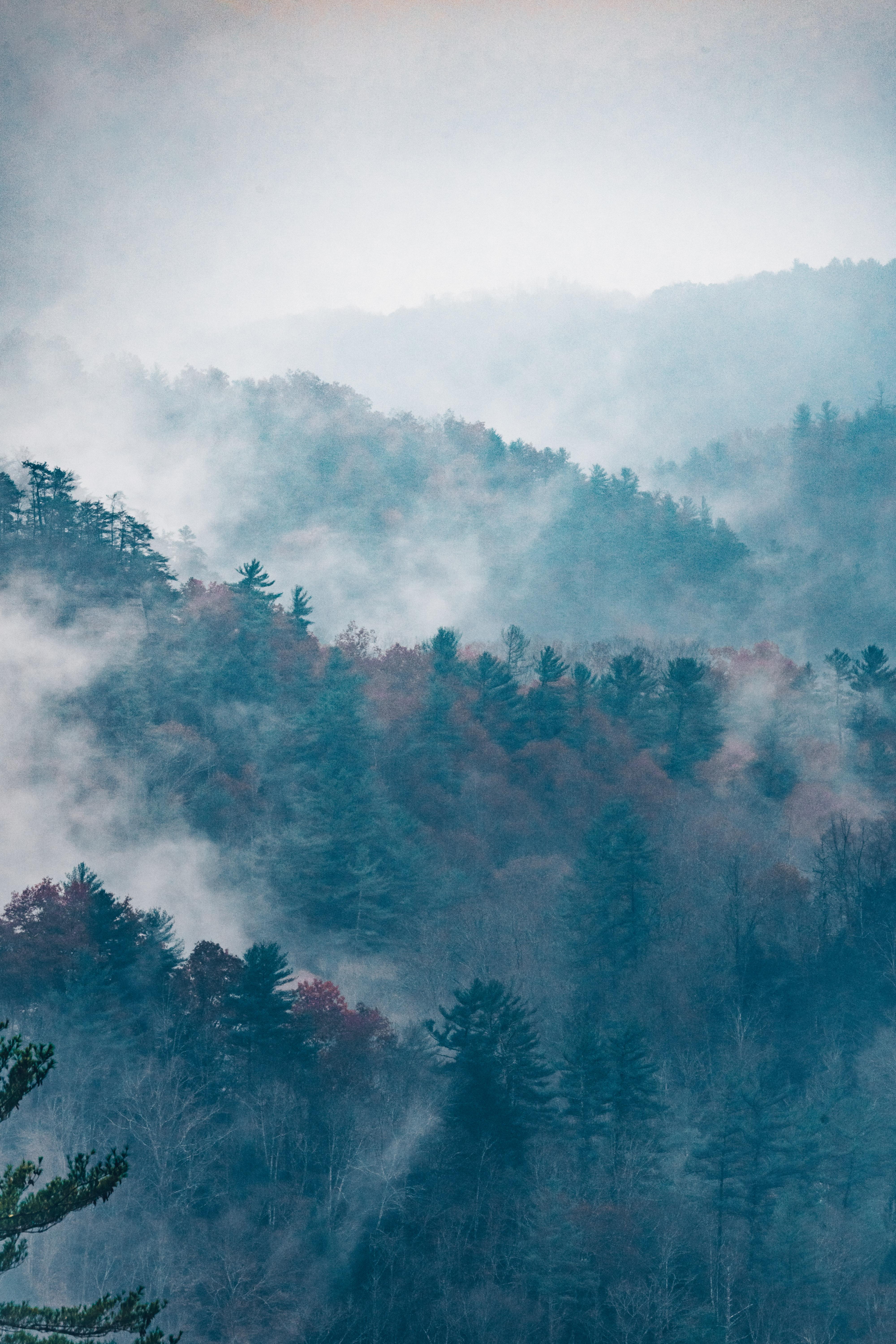 Red Fog Wallpapers - Top Free Red Fog Backgrounds - WallpaperAccess