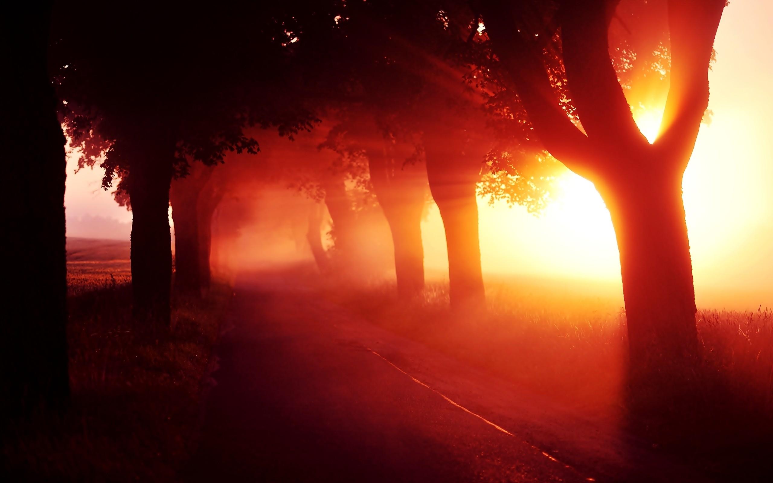 Red Fog Wallpapers - Top Free Red Fog Backgrounds - WallpaperAccess