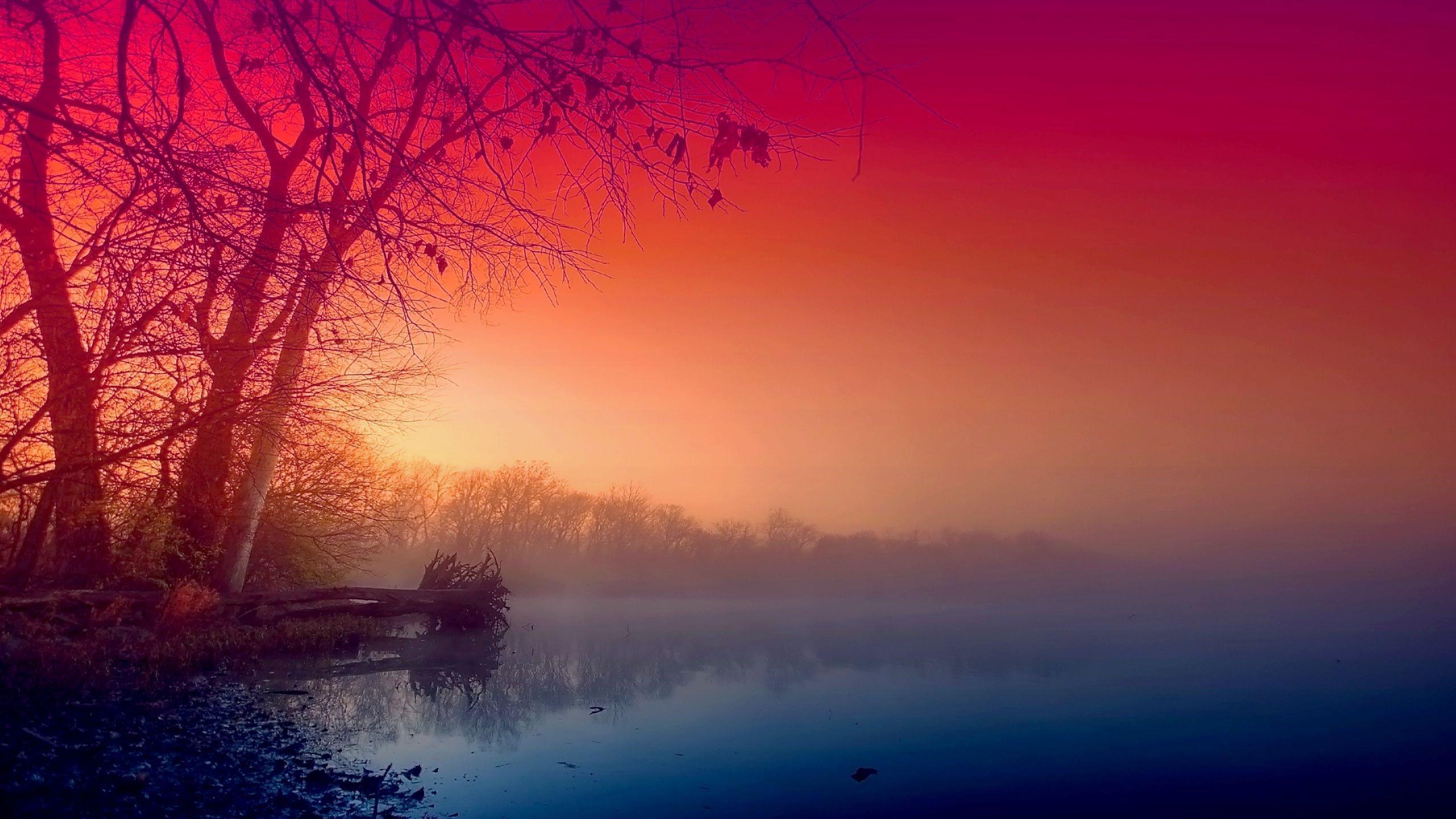 Red Fog Wallpapers - Top Free Red Fog Backgrounds - WallpaperAccess