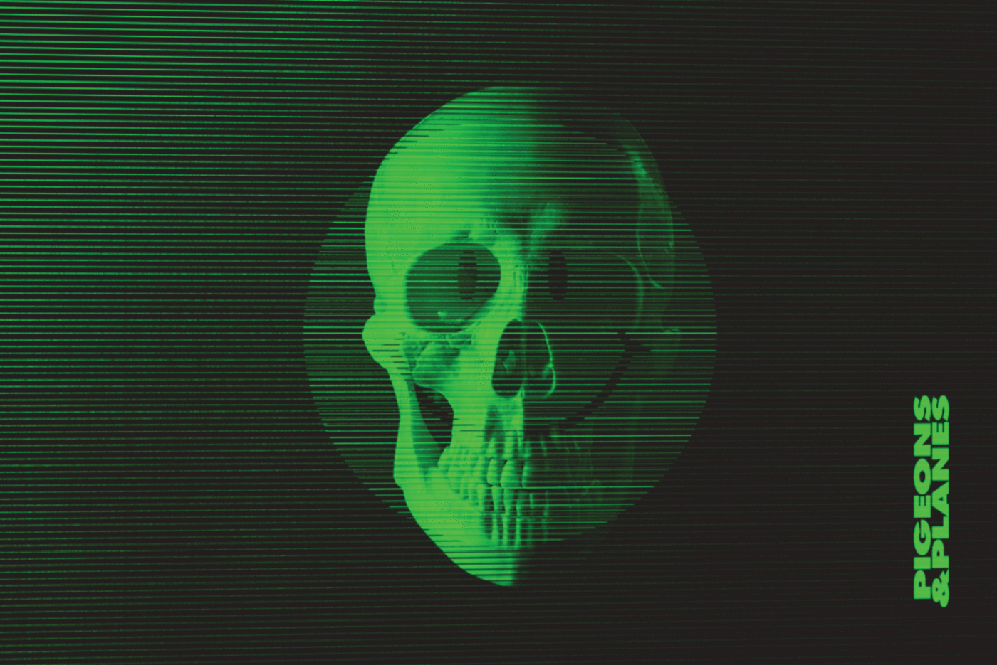 Scammer Wallpapers - Top Free Scammer Backgrounds - WallpaperAccess