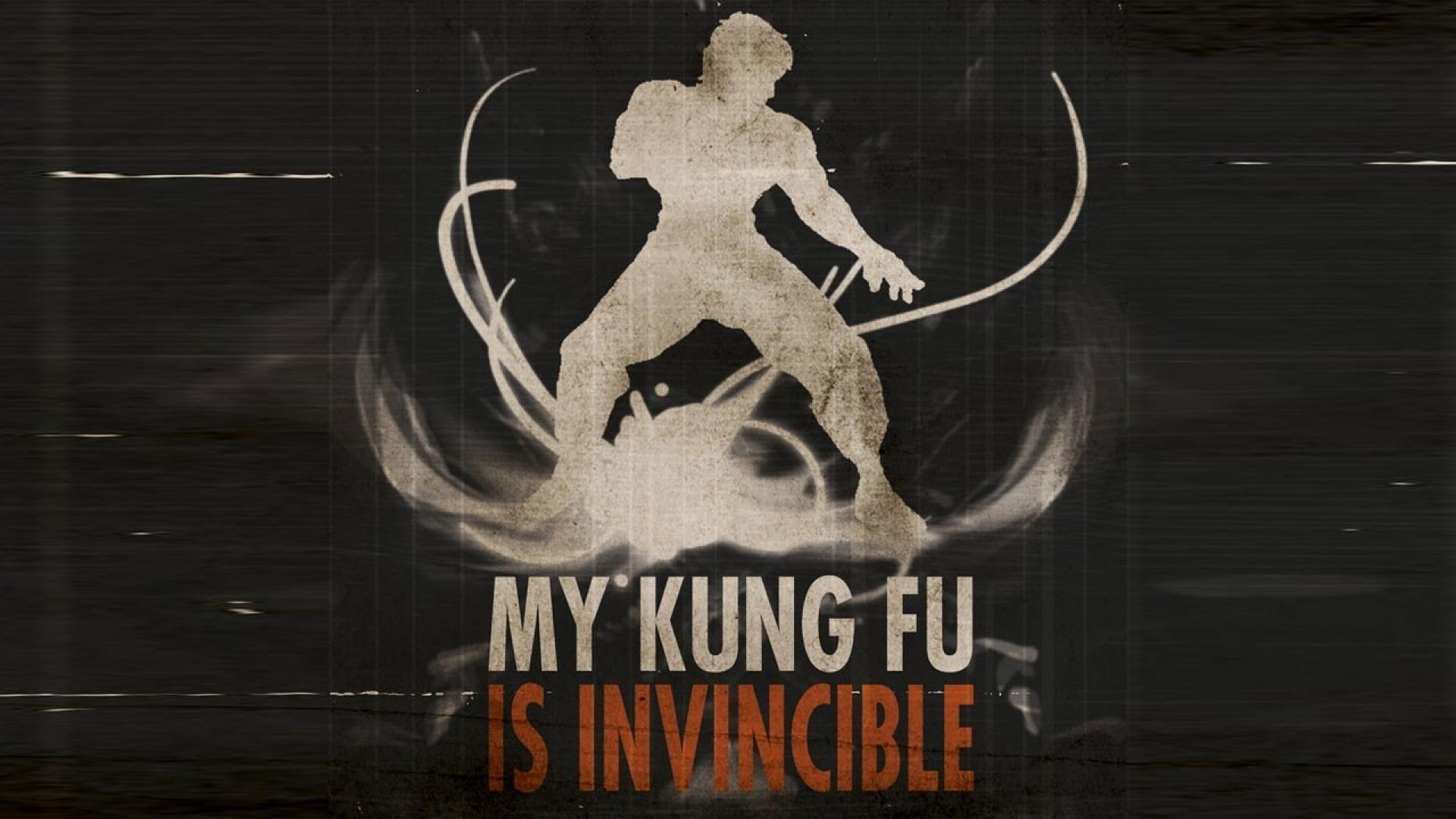 Kung Fu Art Wallpapers - Top Free Kung Fu Art Backgrounds - WallpaperAccess