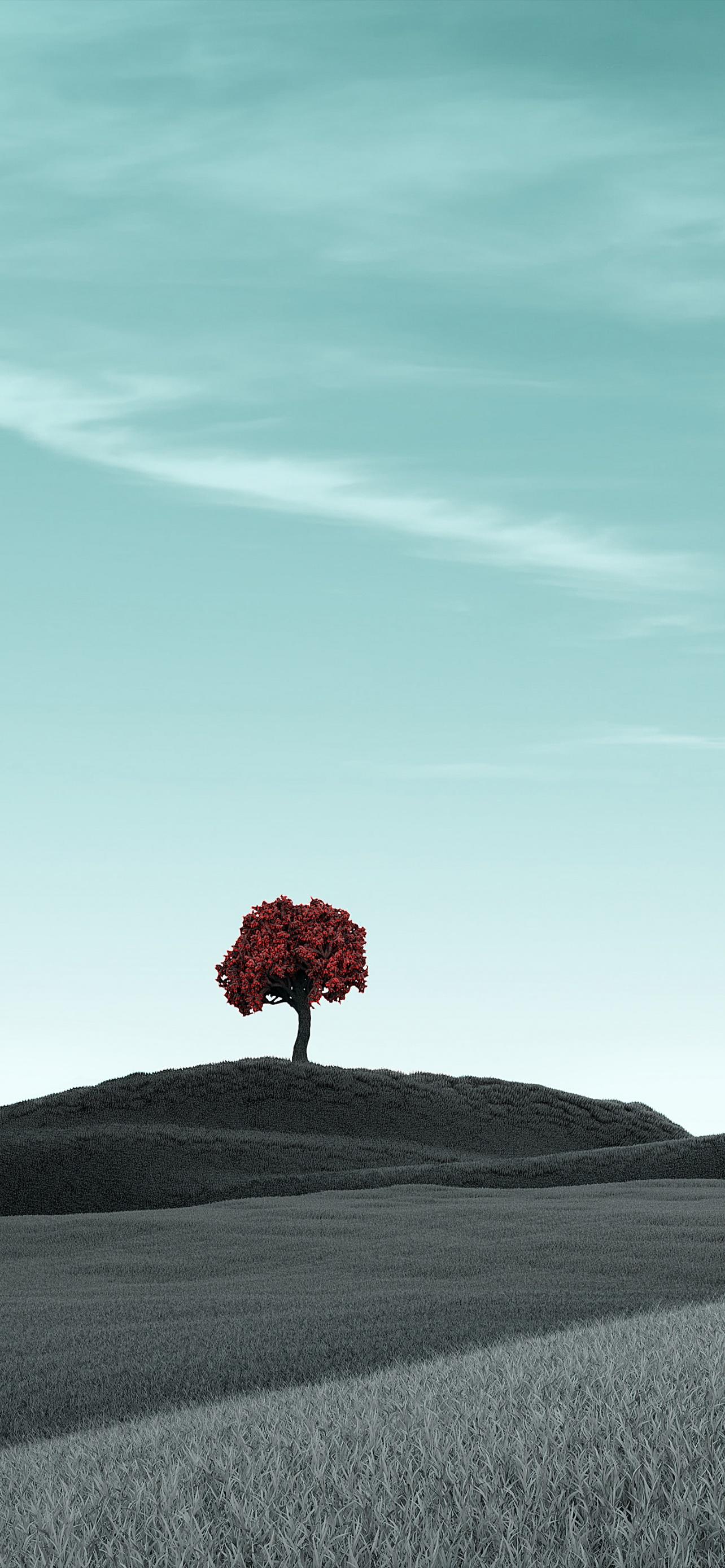 Lonely Tree iPhone Wallpapers - Top Free Lonely Tree iPhone Backgrounds ...