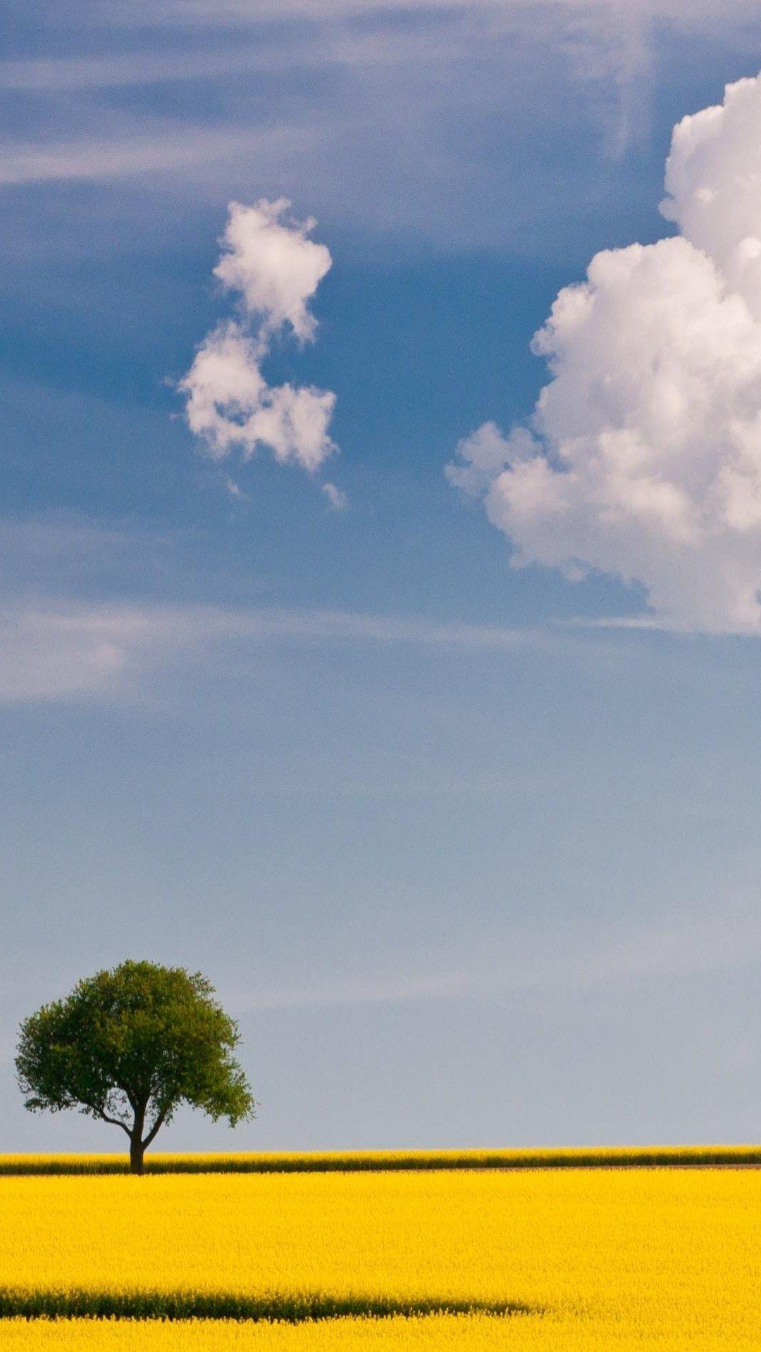 Lonely Tree iPhone Wallpapers - Top Free Lonely Tree iPhone Backgrounds ...