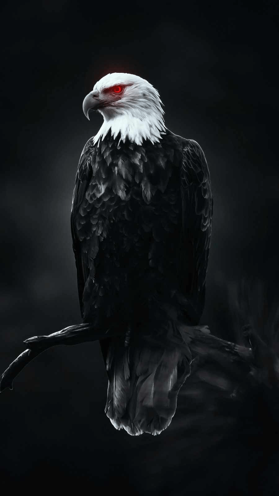 Eagle 8k Wallpapers - Top Free Eagle 8k Backgrounds - WallpaperAccess