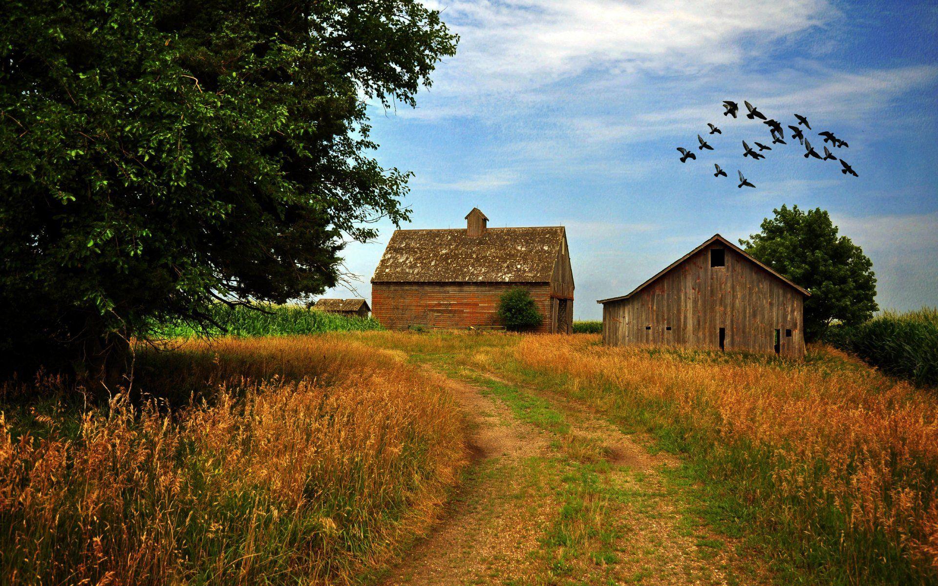 Iowa Scenery Wallpapers - Top Free Iowa Scenery Backgrounds ...