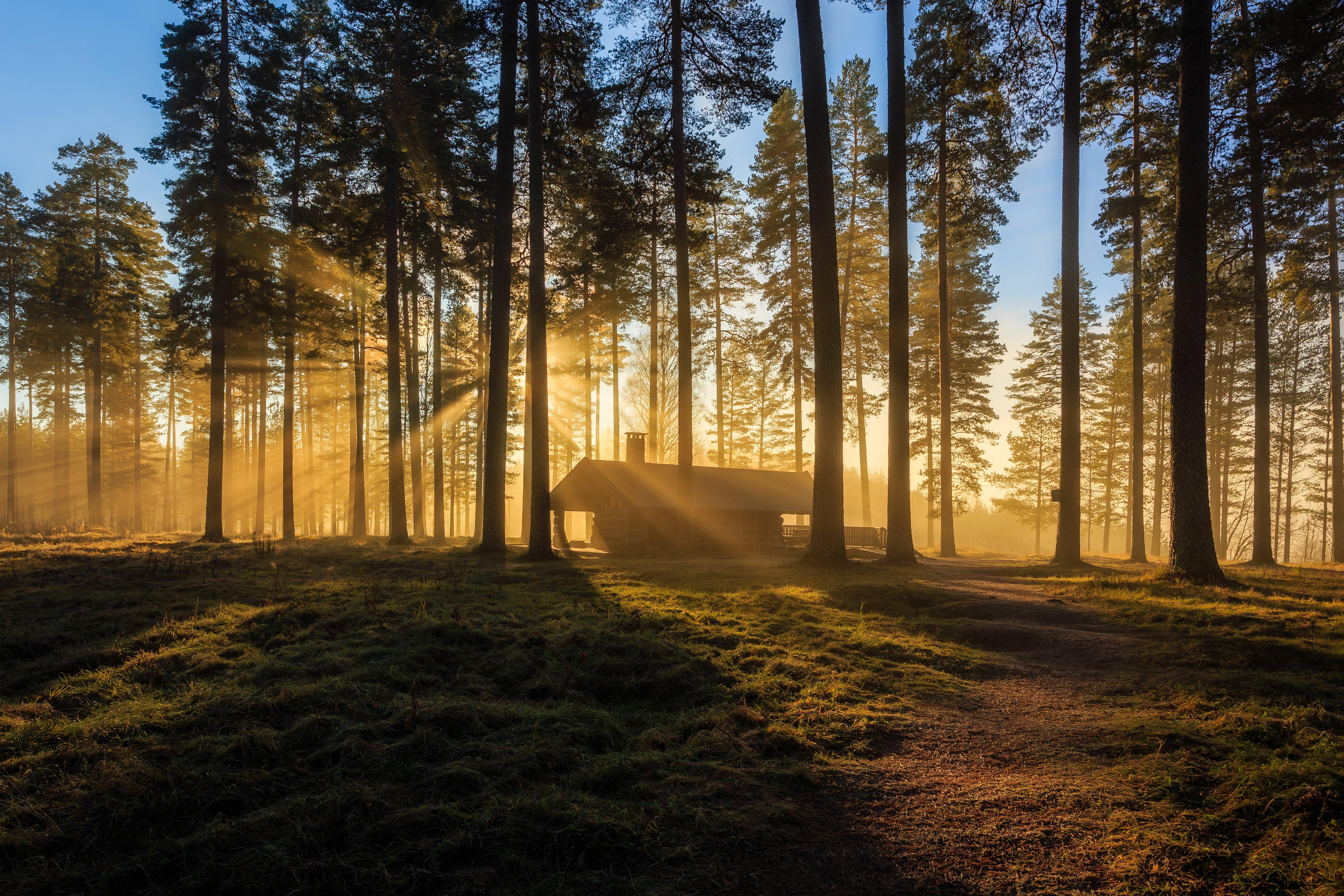 Swedish Nature Wallpapers - Top Free Swedish Nature Backgrounds ...
