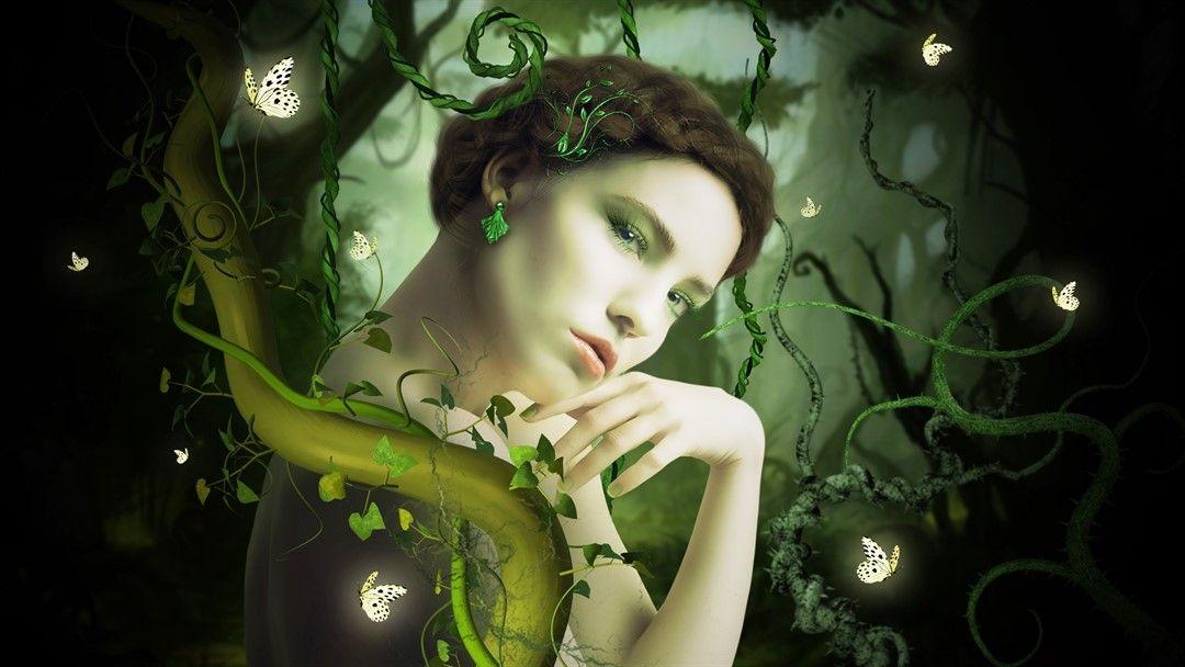 Gothic Butterfly Wallpapers - Top Free Gothic Butterfly Backgrounds ...