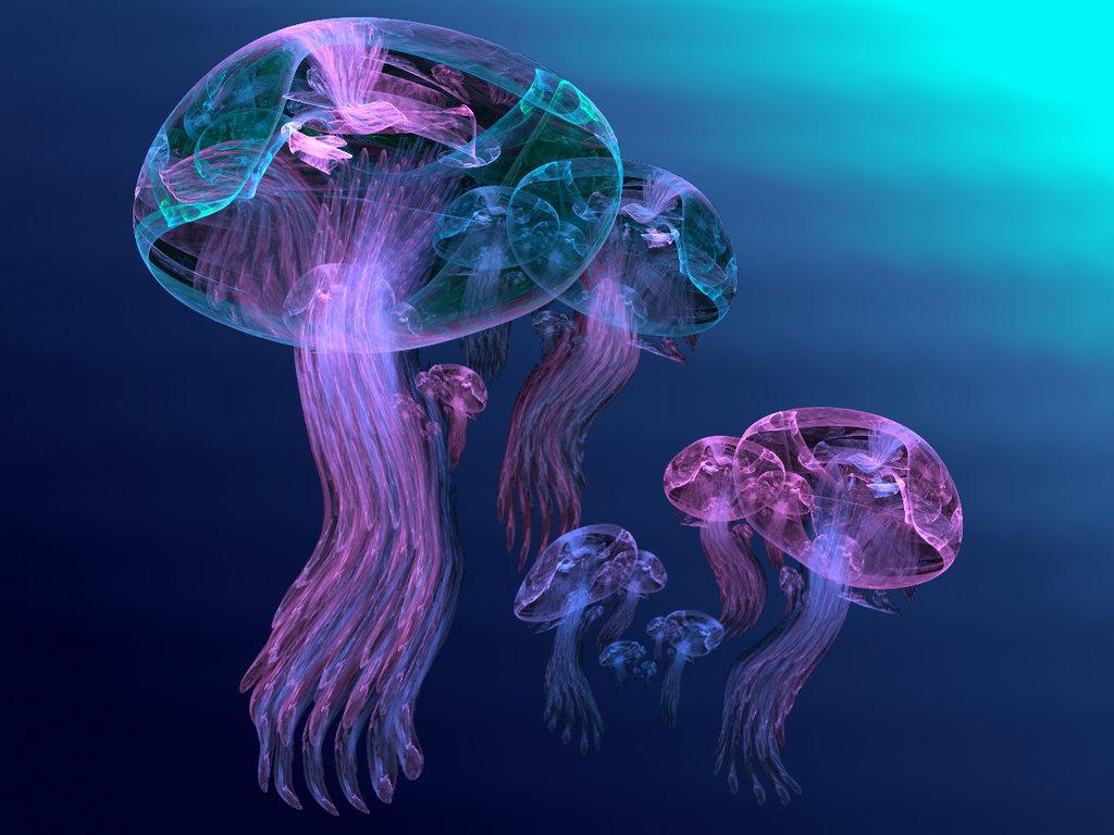 Jellyfish Art Wallpapers - Top Free Jellyfish Art Backgrounds ...