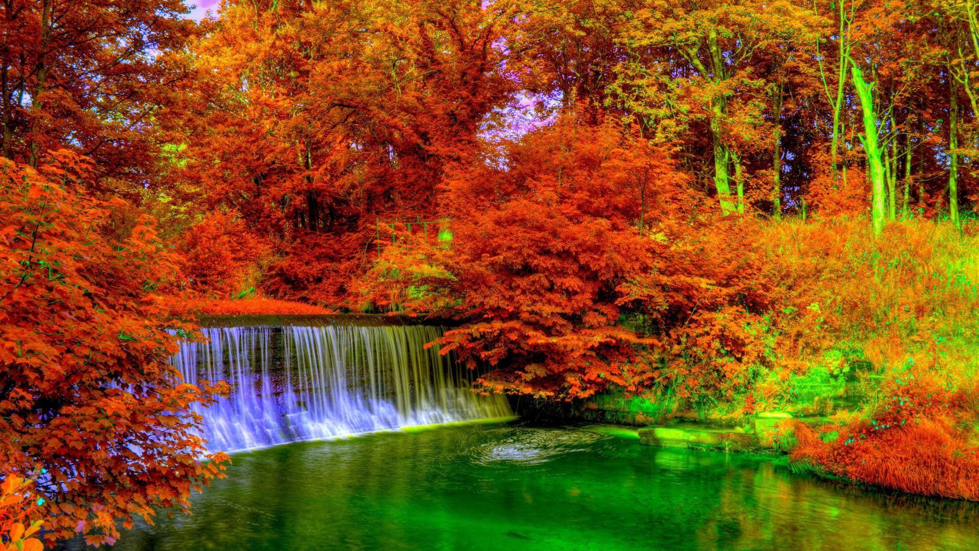 Fall Colors Desktop Wallpapers - Top Free Fall Colors Desktop ...