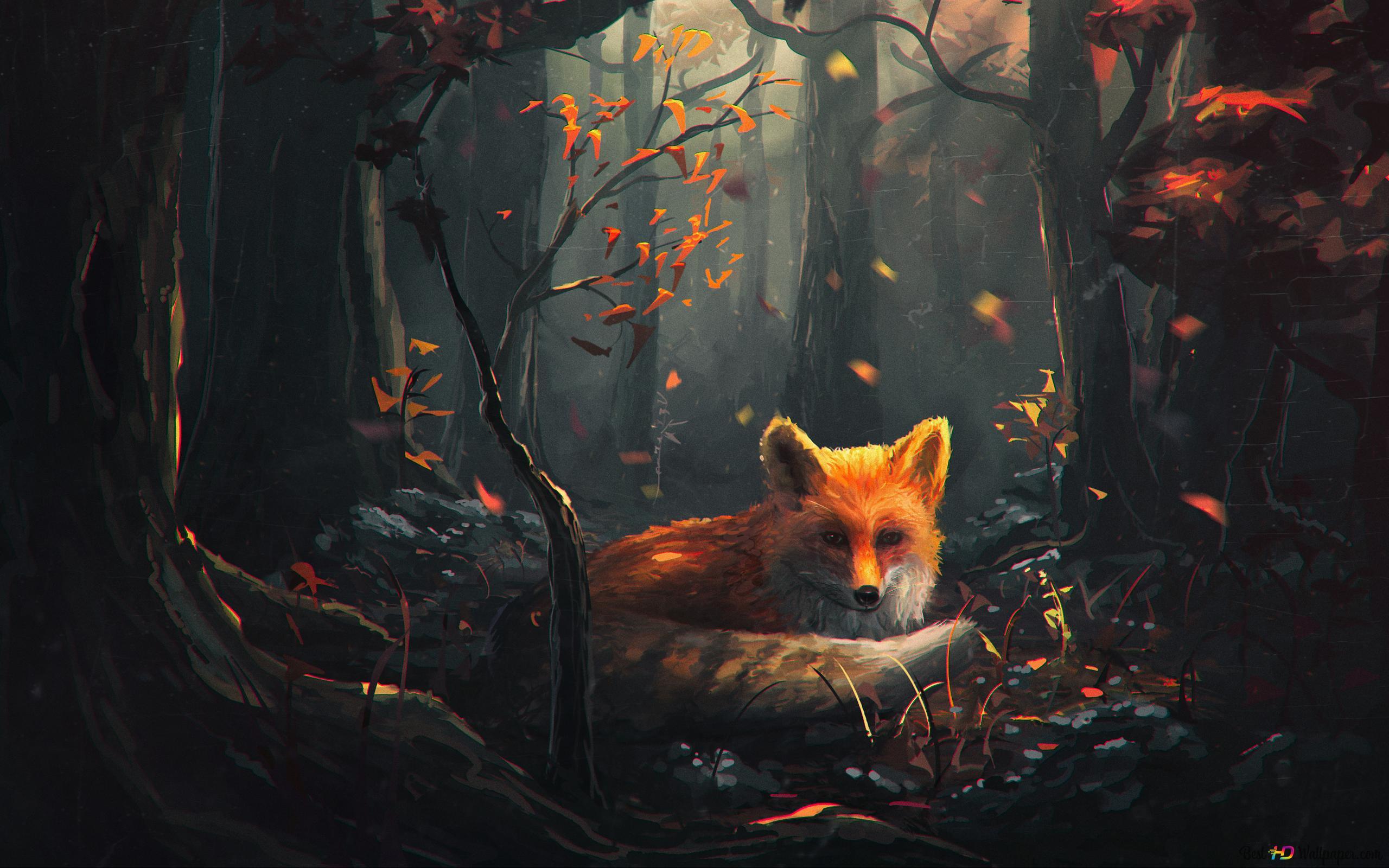 Forest Fox Wallpapers - Top Free Forest Fox Backgrounds - WallpaperAccess