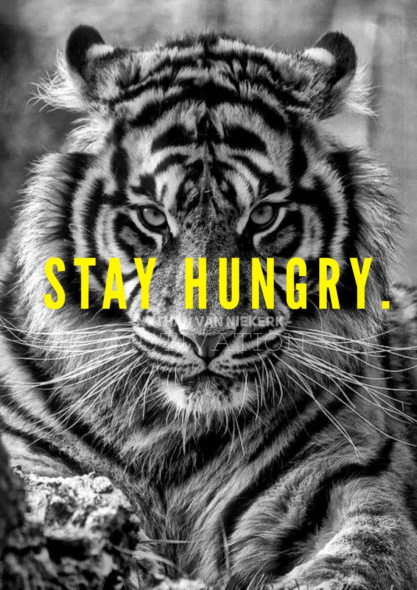 Tiger Motivational Wallpapers - Top Free Tiger Motivational Backgrounds ...