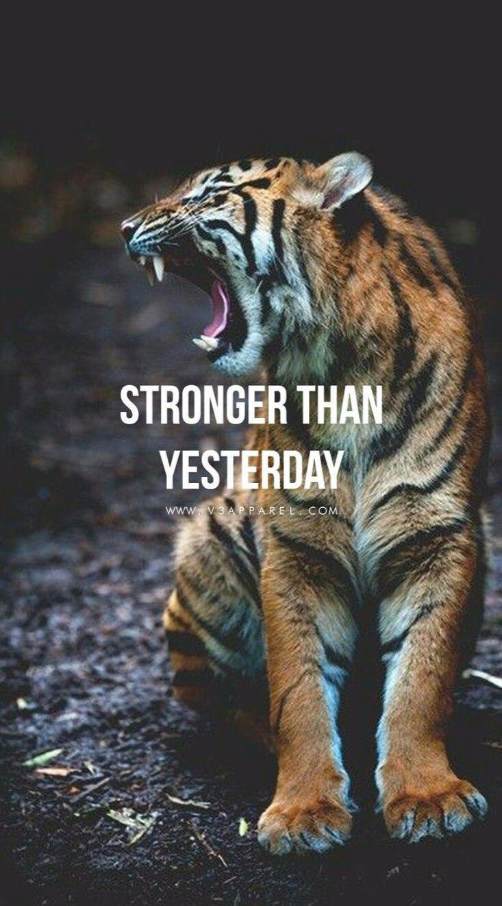 Tiger Motivational Wallpapers - Top Free Tiger Motivational Backgrounds ...
