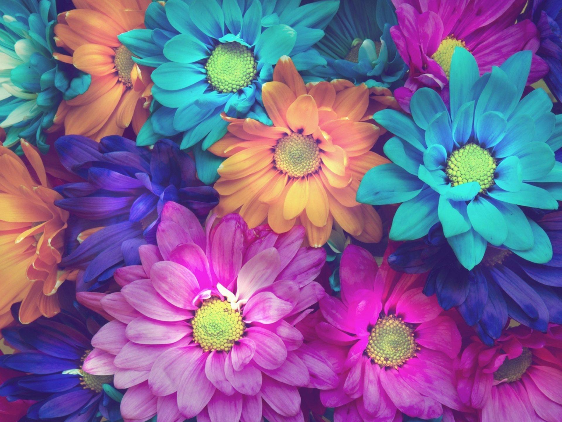 Orange Pink Blue Wallpapers - Top Free Orange Pink Blue Backgrounds ...