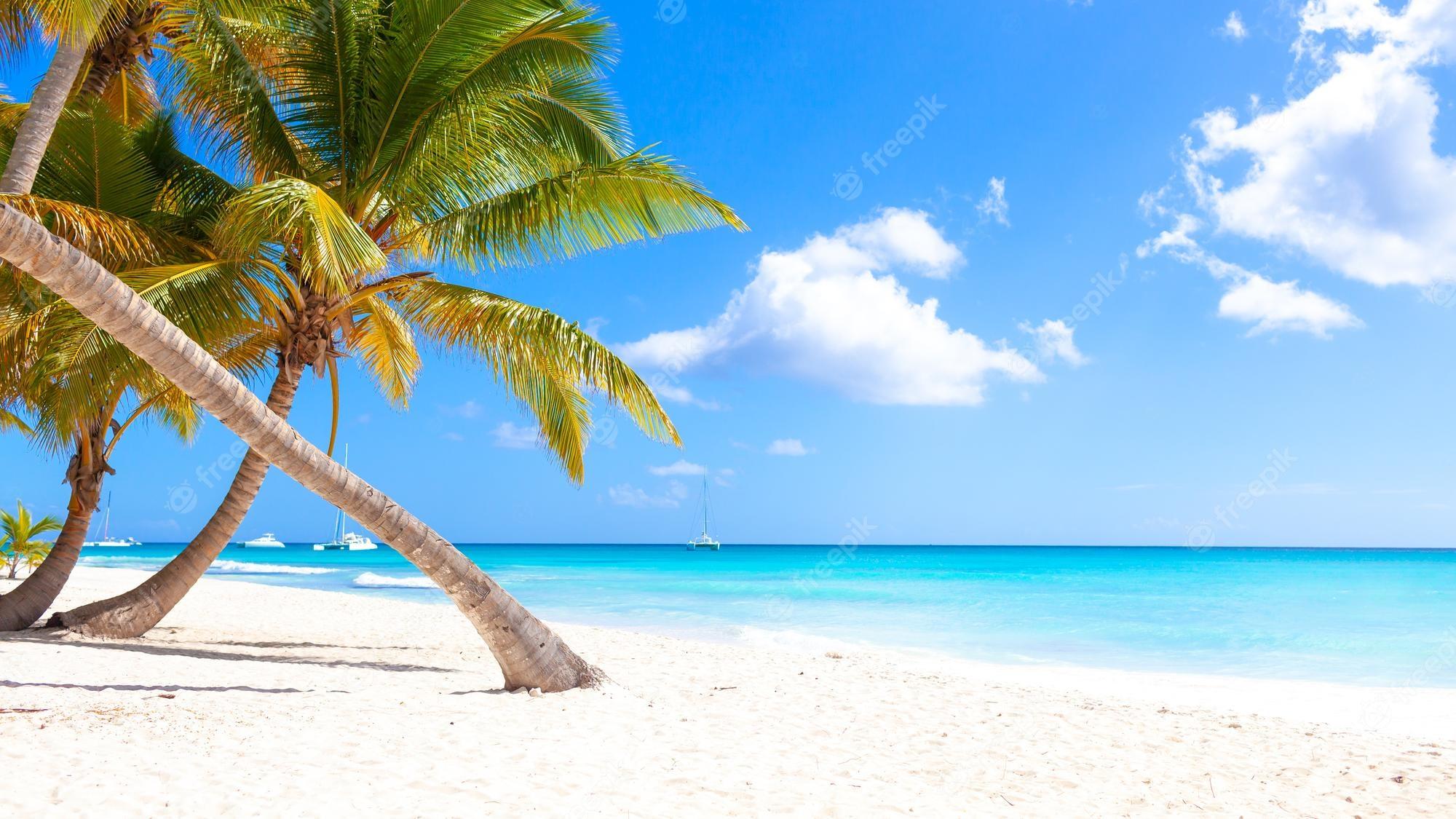 Sunny Tropical Beach Wallpapers - Top Free Sunny Tropical Beach ...