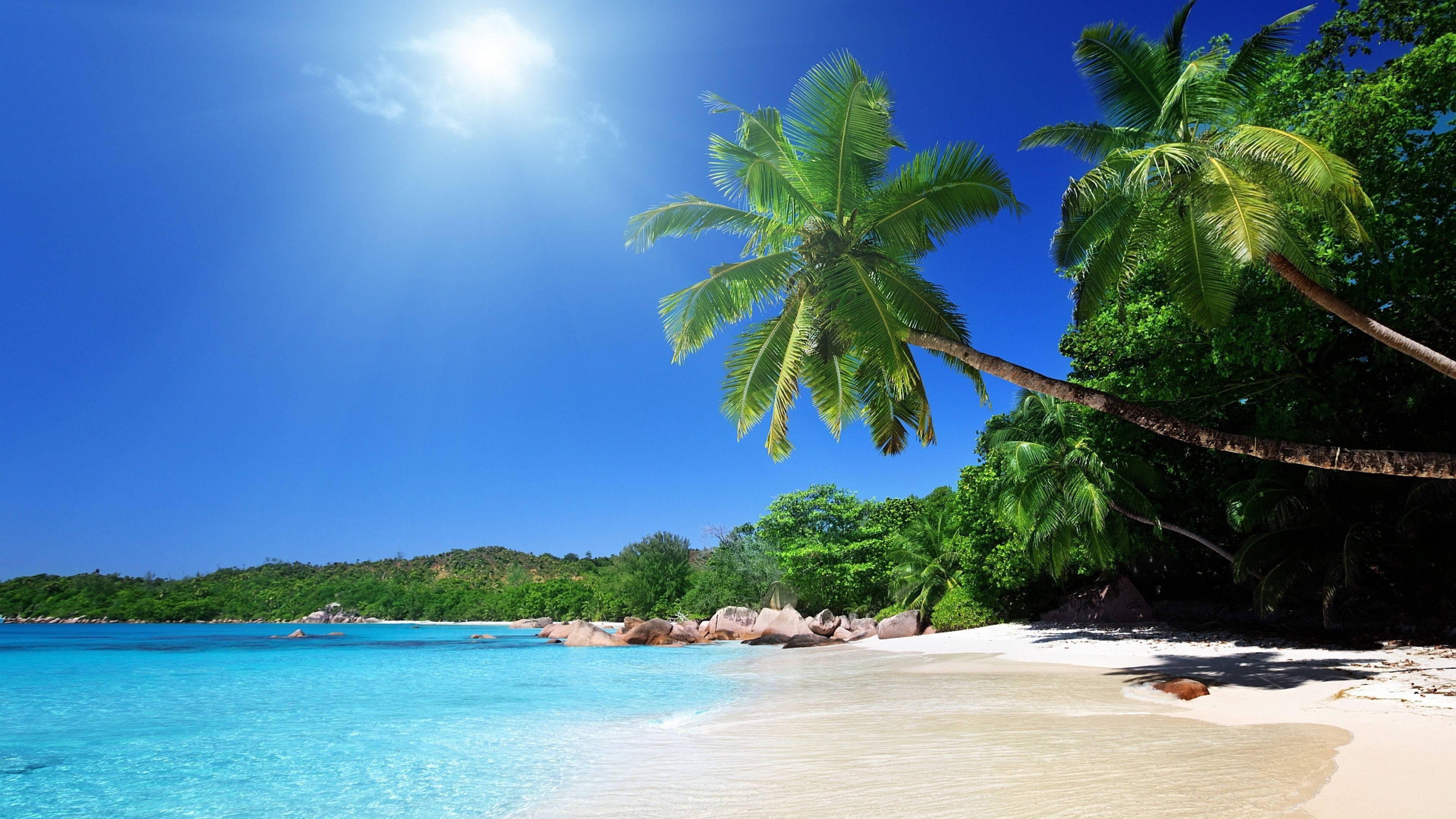 Sunny Tropical Beach Wallpapers - Top Free Sunny Tropical Beach ...