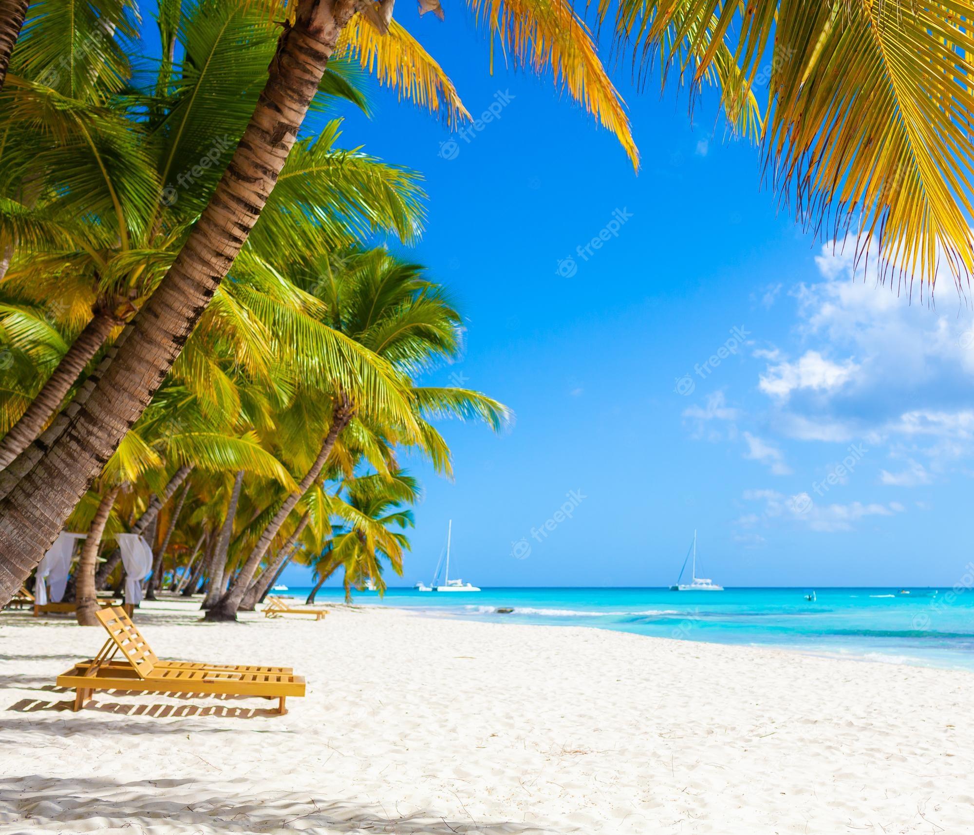 Sunny Tropical Beach Wallpapers - Top Free Sunny Tropical Beach ...