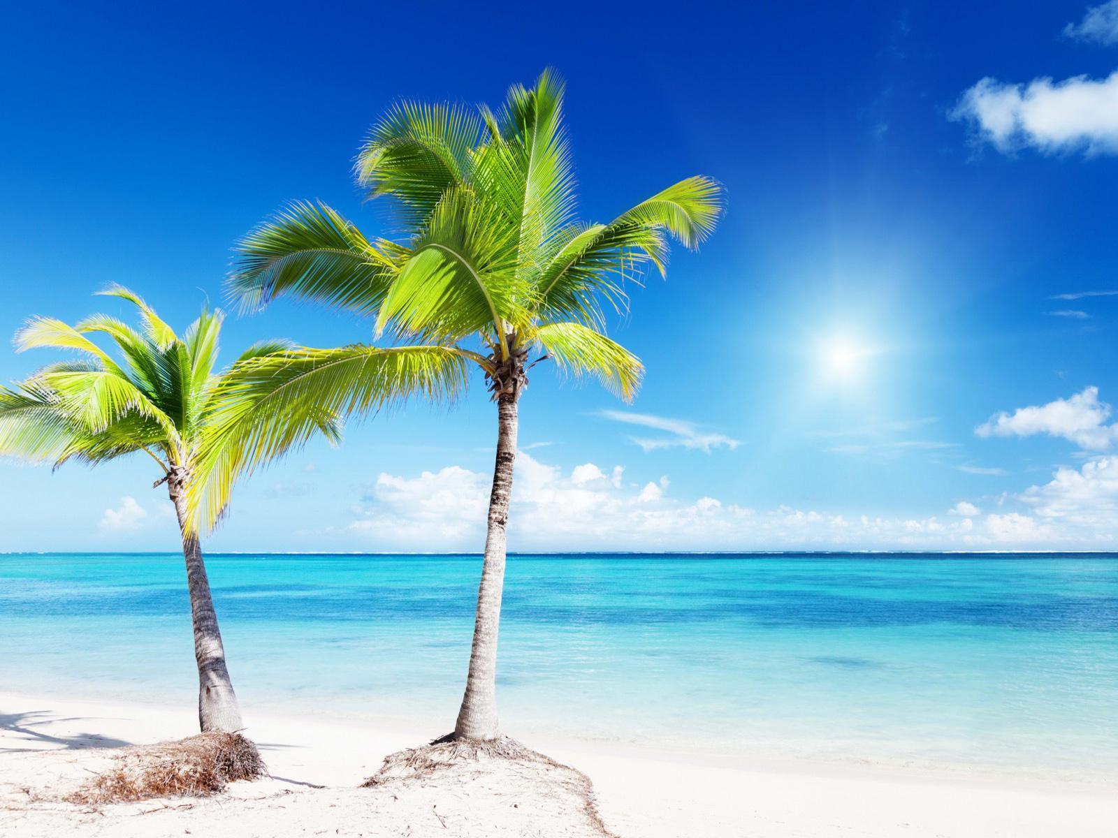 Sunny Tropical Beach Wallpapers - Top Free Sunny Tropical Beach ...