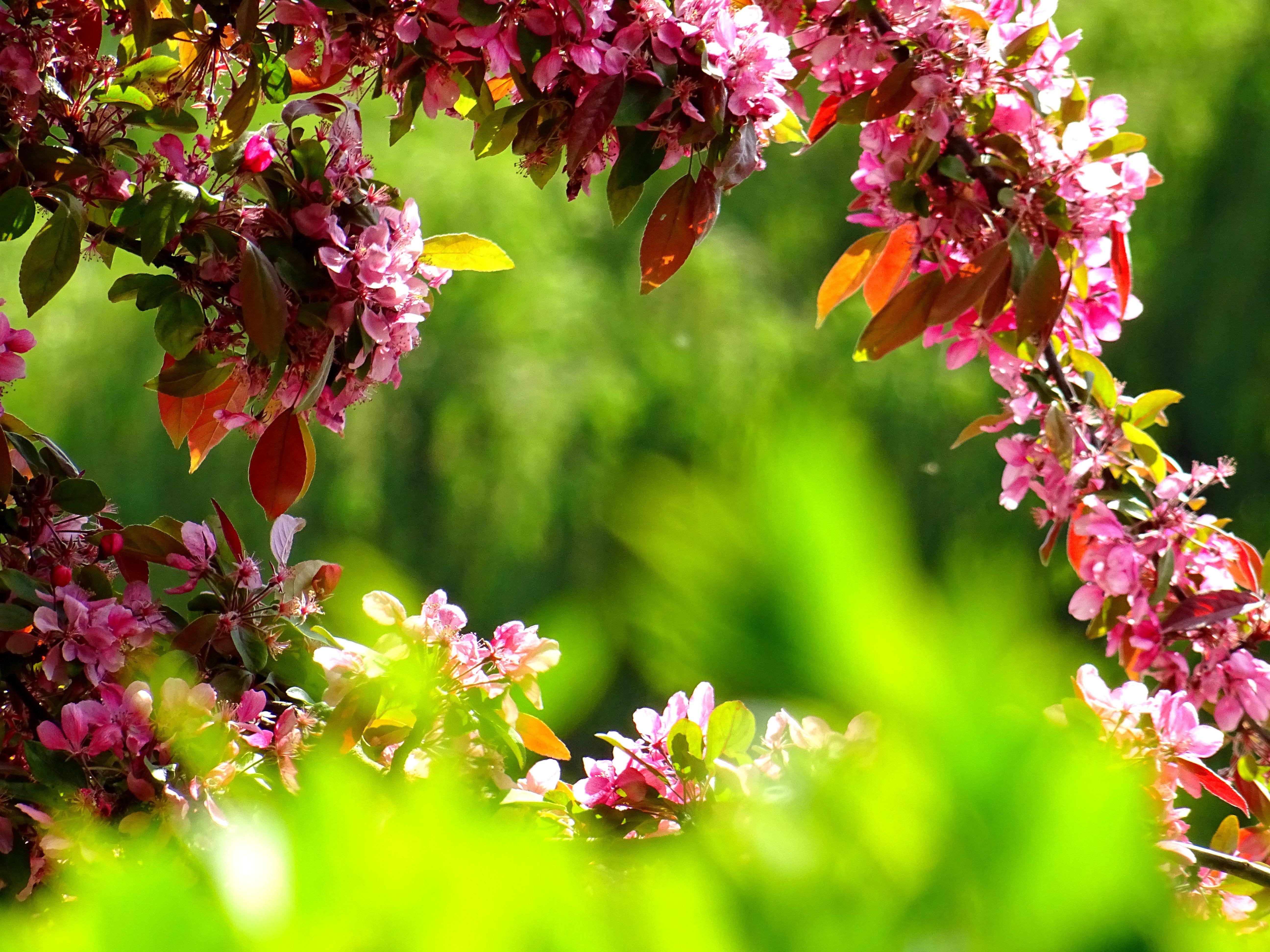 Beautiful Real Nature Wallpapers - Top Free Beautiful Real Nature ...