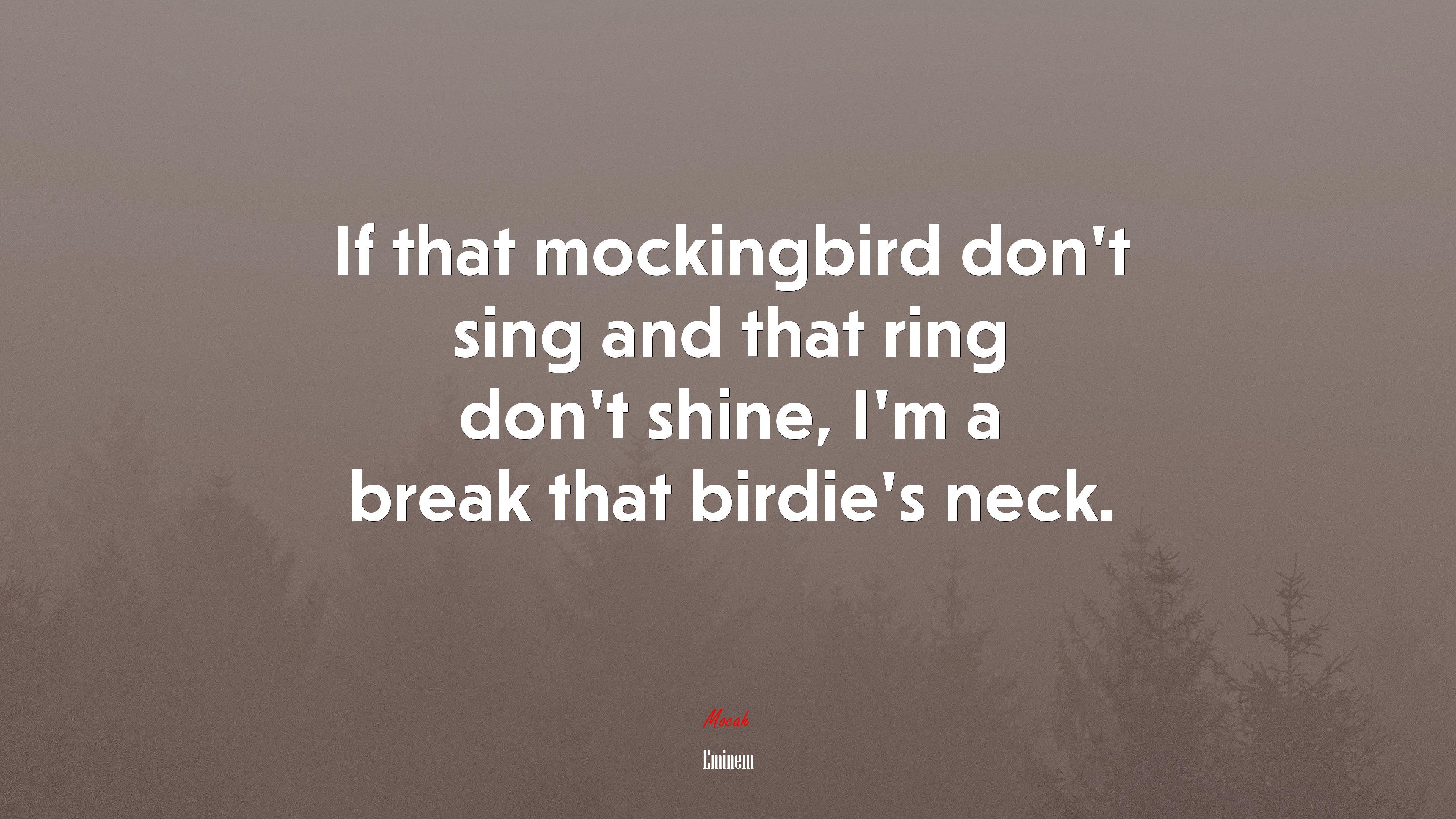 Eminem Lyrics Wallpapers - Top Free Eminem Lyrics Backgrounds ...