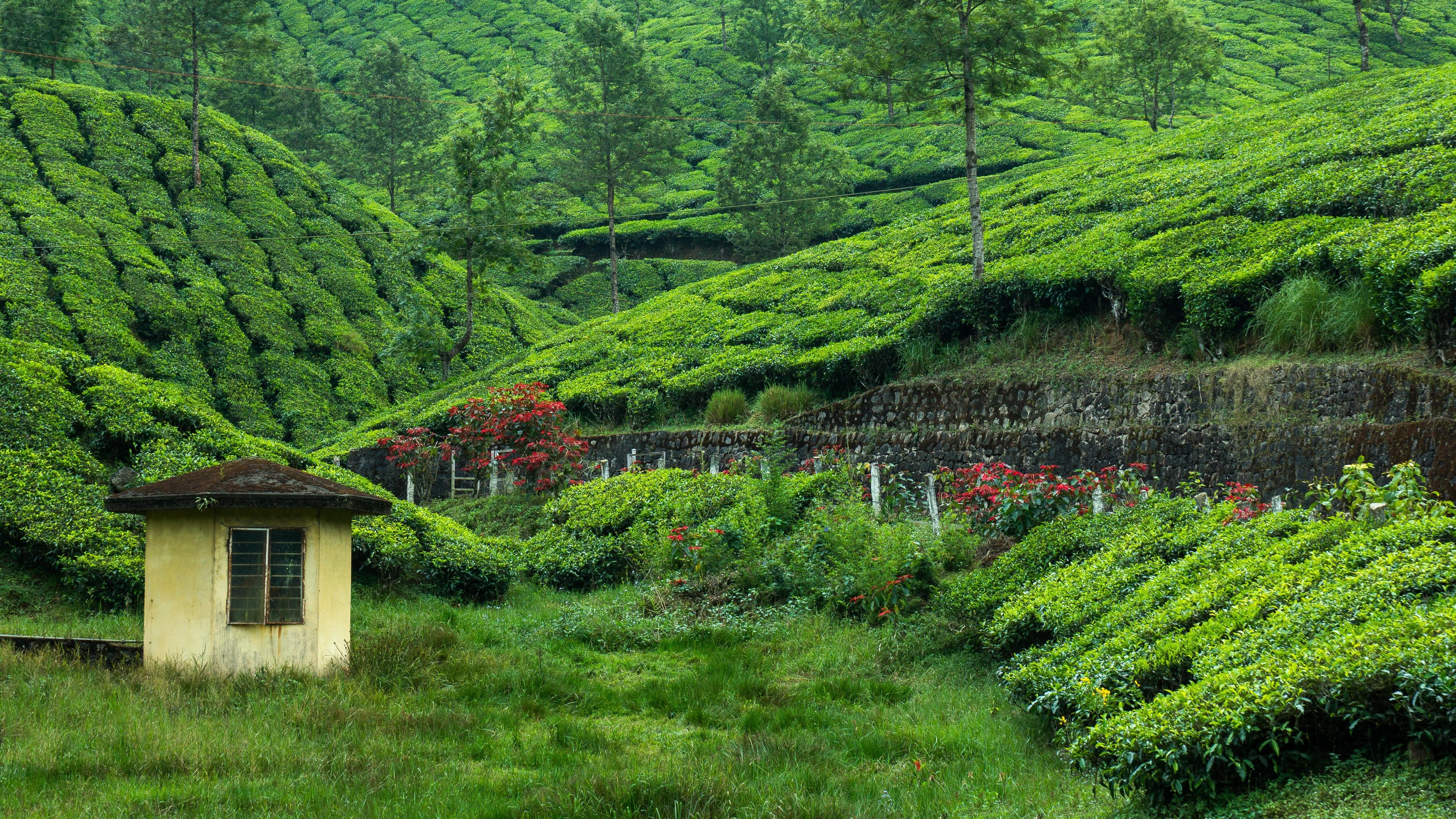 Hills 4k Wallpapers - Top Free Hills 4k Backgrounds - WallpaperAccess