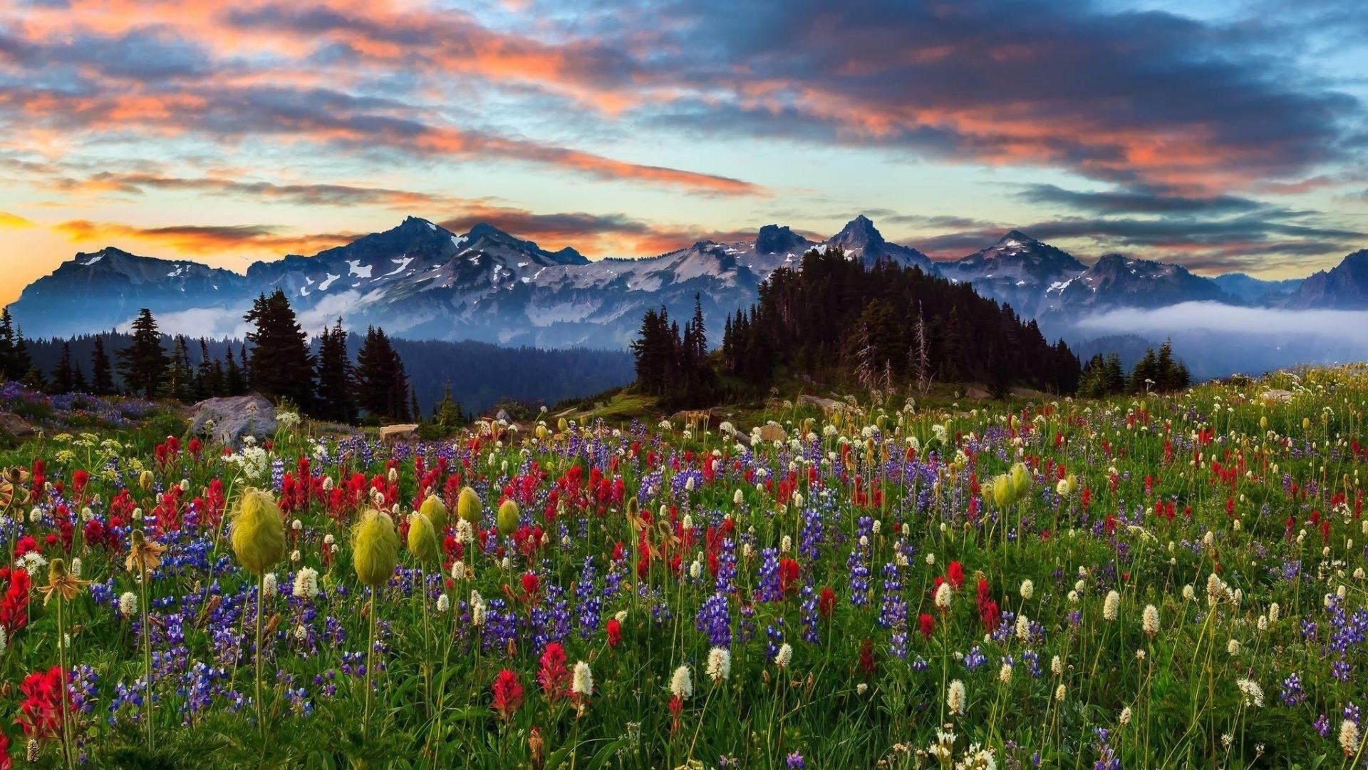 Mountain and Flowers Wallpapers - Top Free Mountain and Flowers ...