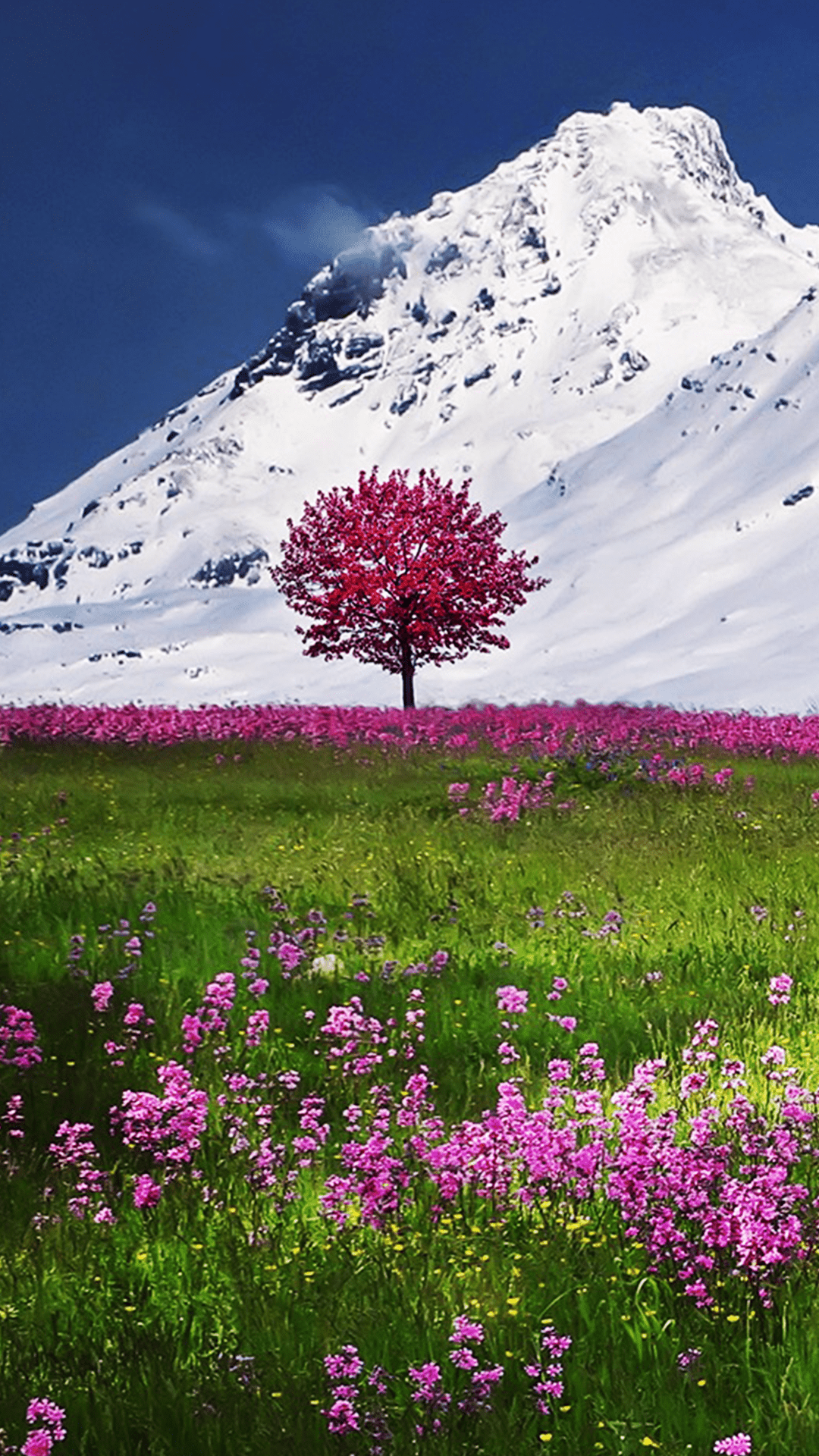 Mountain and Flowers Wallpapers - Top Free Mountain and Flowers ...