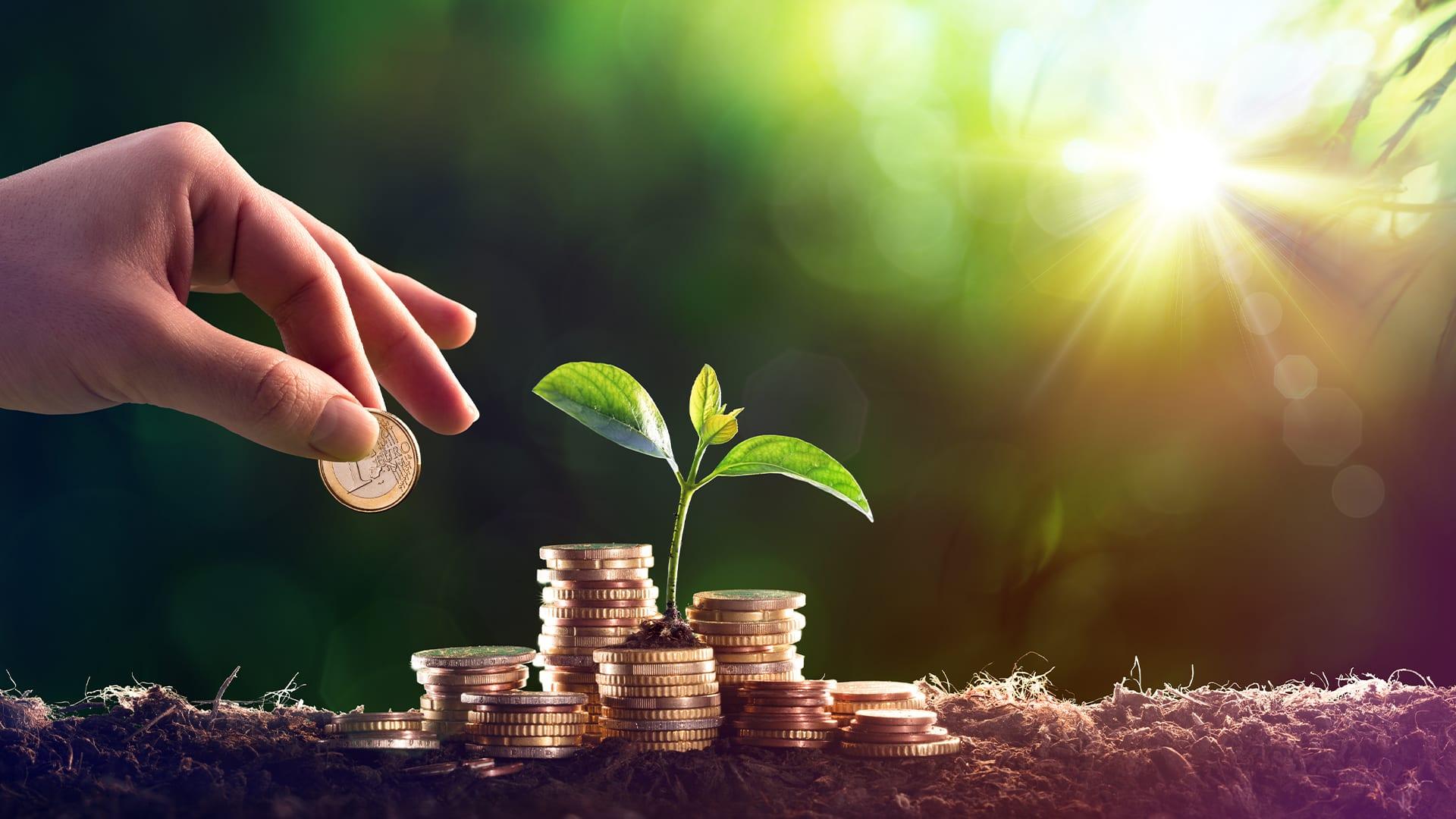 Sustainable Development Wallpapers - Top Free Sustainable Development ...