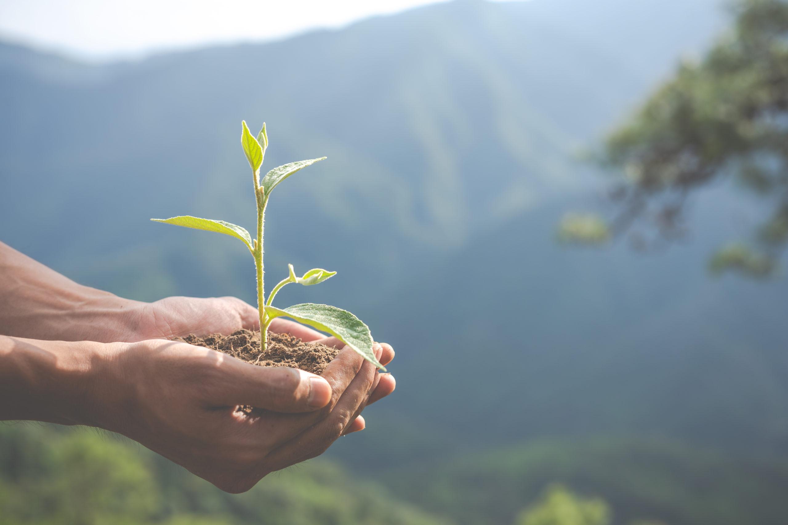 Sustainable Development Wallpapers - Top Free Sustainable Development ...