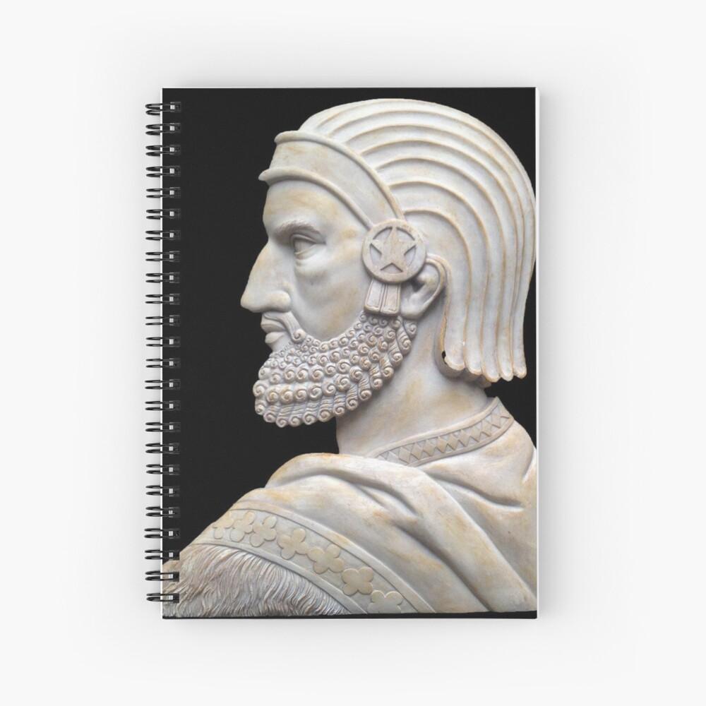 Persian King Wallpapers - Top Free Persian King Backgrounds ...