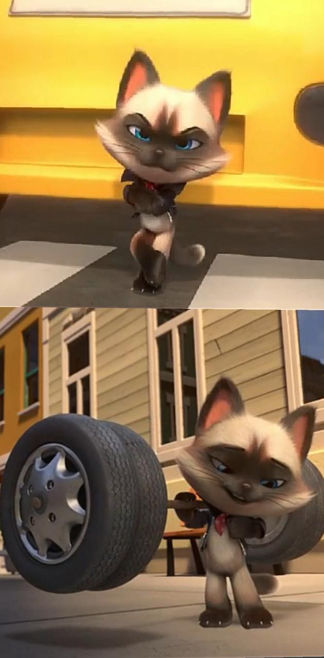 44 Cats Wallpapers - Top Free 44 Cats Backgrounds - WallpaperAccess