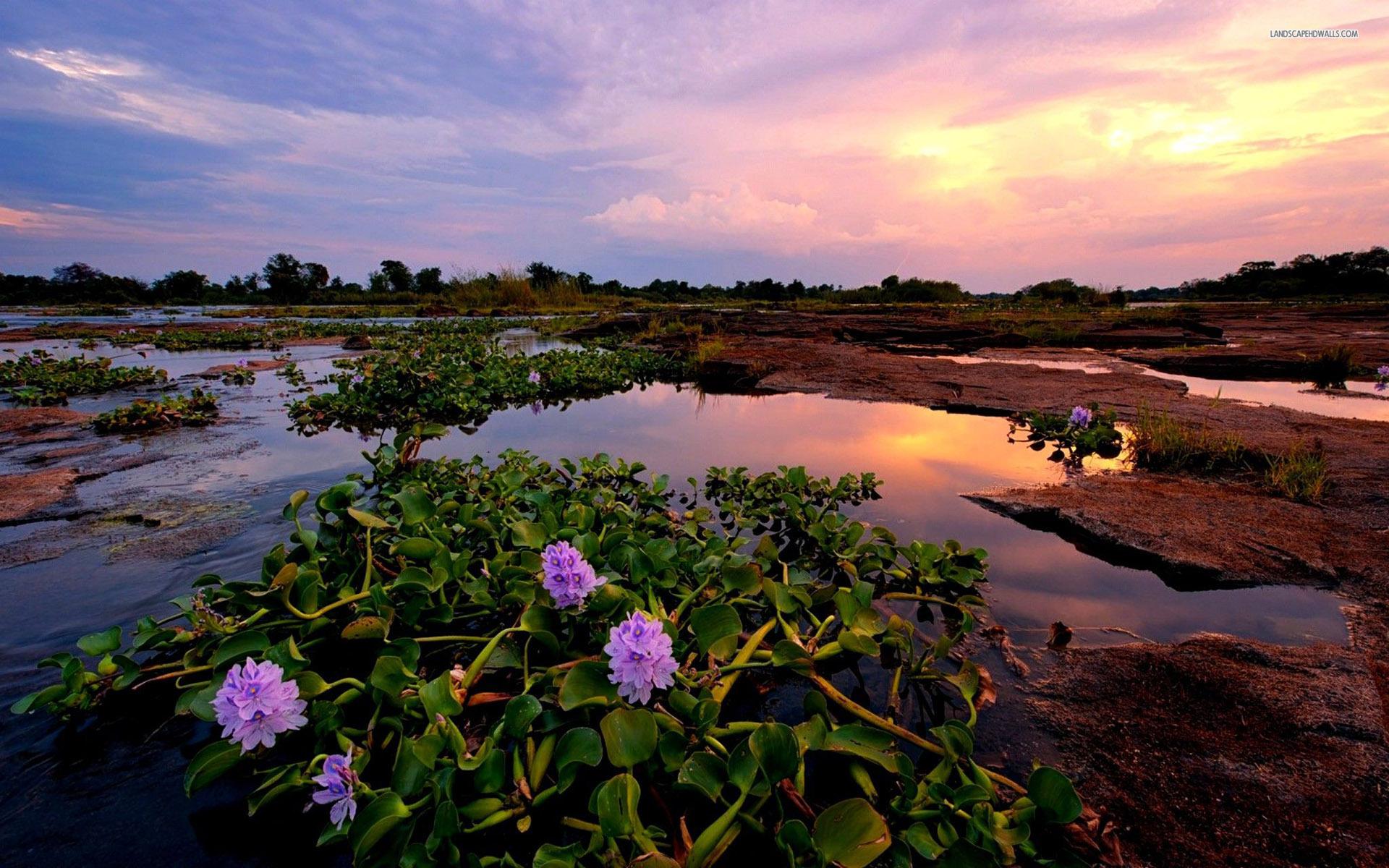 Pink Lake Wallpapers - Top Free Pink Lake Backgrounds - WallpaperAccess