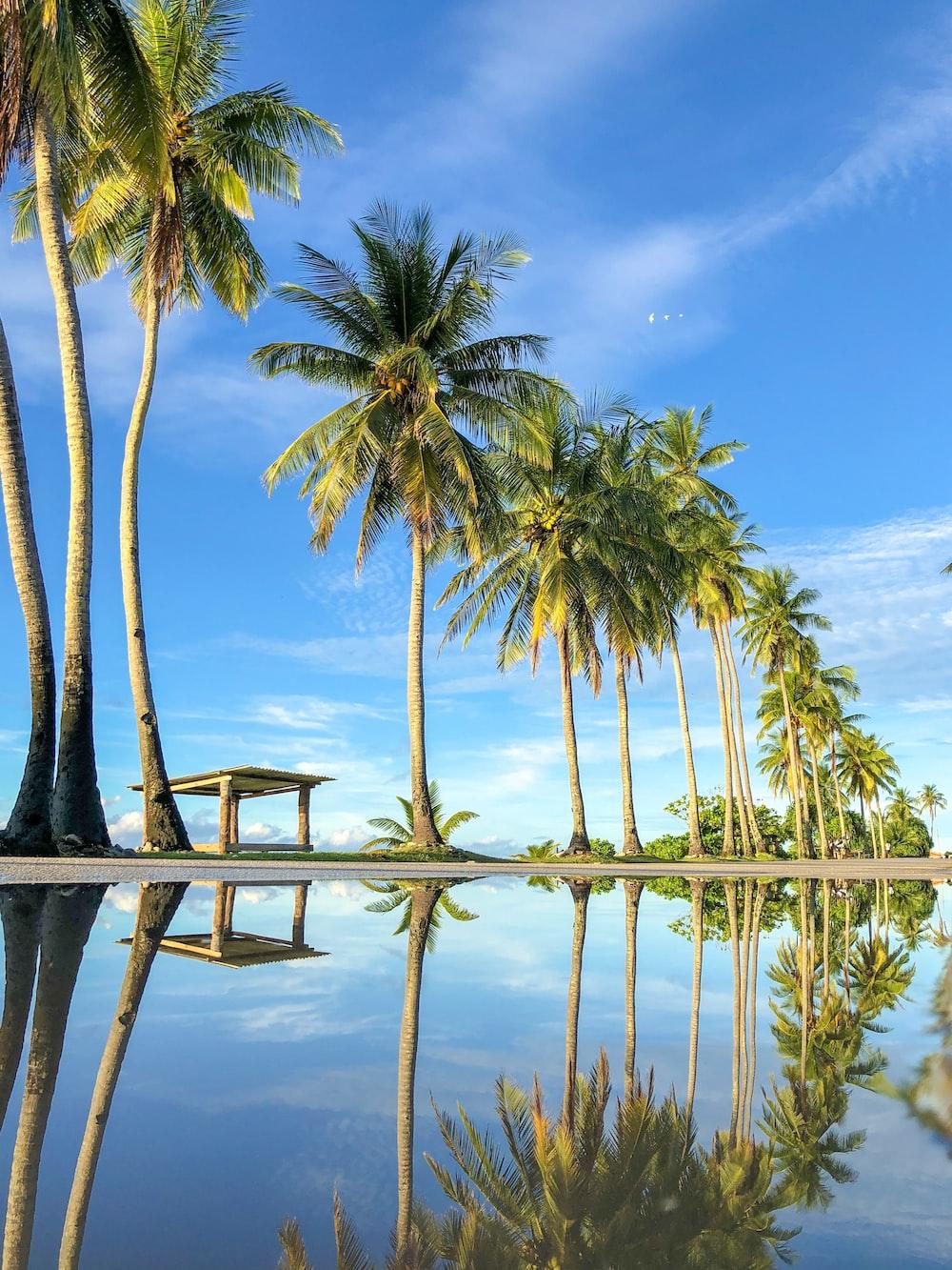 Nauru Wallpapers - Top Free Nauru Backgrounds - WallpaperAccess