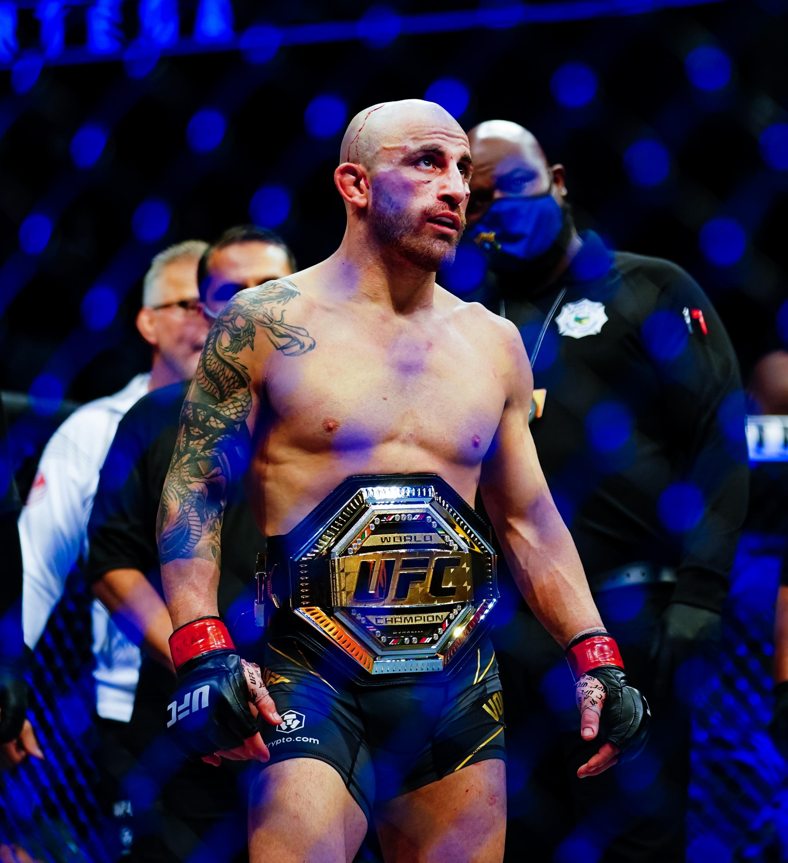 Alexander Volkanovski Wallpapers - Top Free Alexander Volkanovski ...