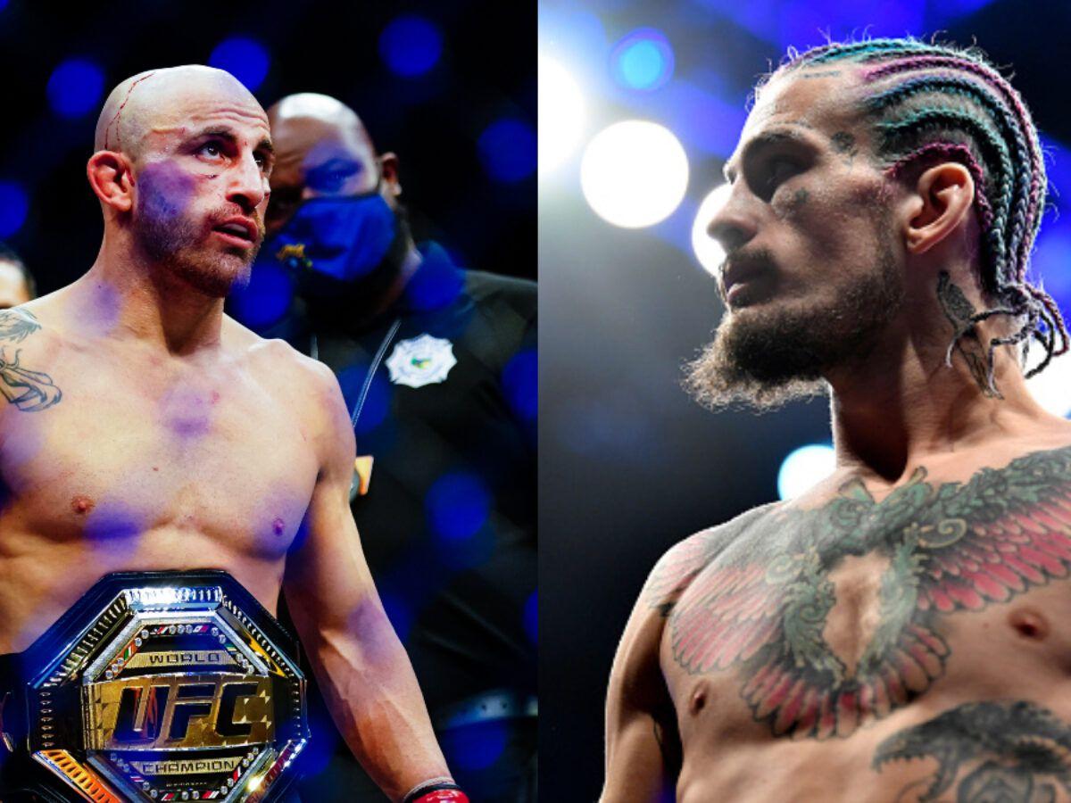 Alexander Volkanovski Wallpapers - Top Free Alexander Volkanovski ...