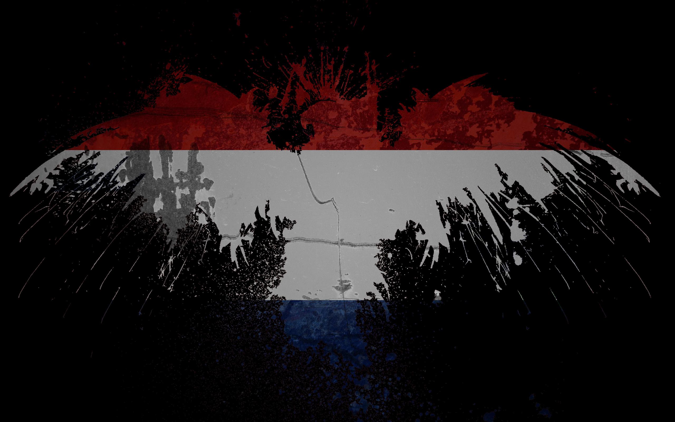 Dutch Flag Wallpapers - Top Free Dutch Flag Backgrounds - WallpaperAccess