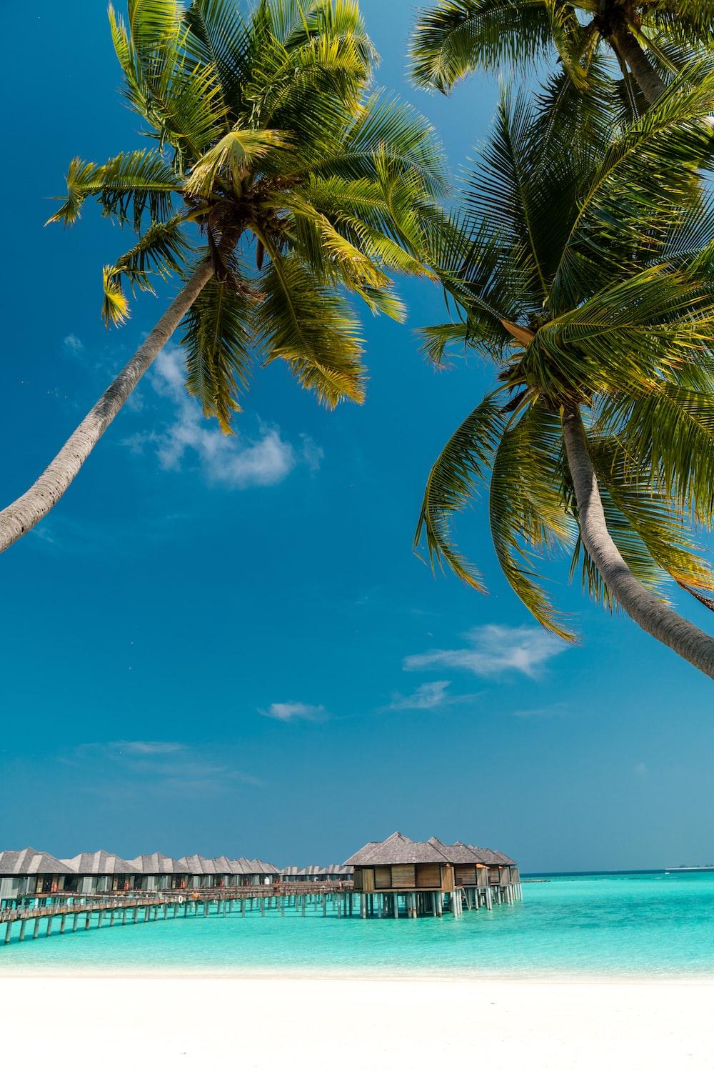 Maldives Phone Wallpapers Top Free Maldives Phone Backgrounds