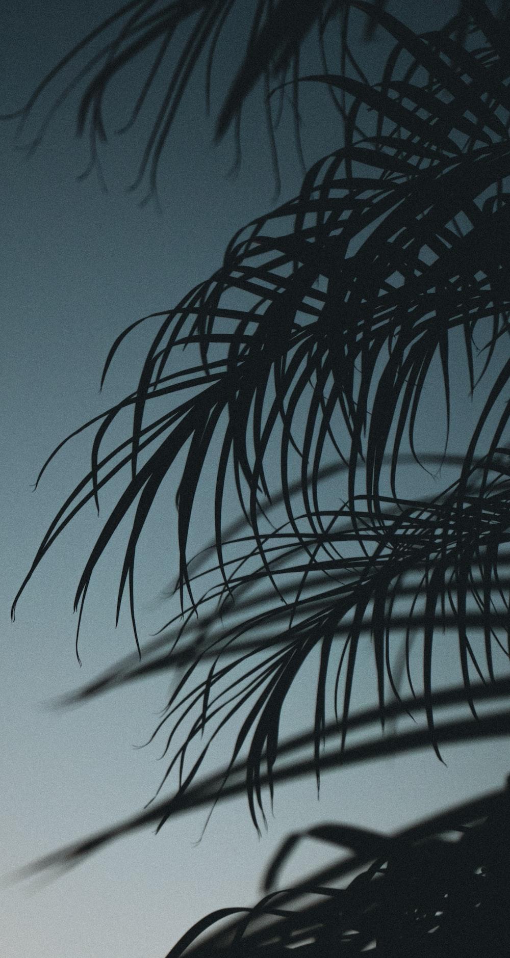Grainy Wallpapers - Top Free Grainy Backgrounds - WallpaperAccess