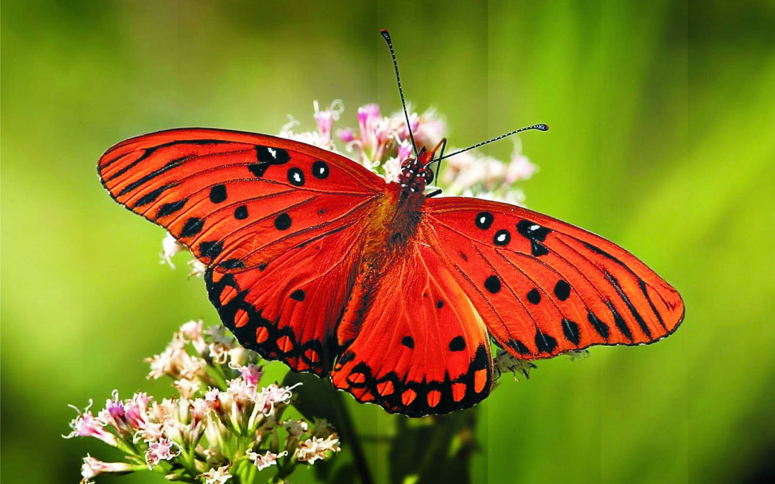 Matlab Wallpapers - Top Free Matlab Backgrounds - WallpaperAccess