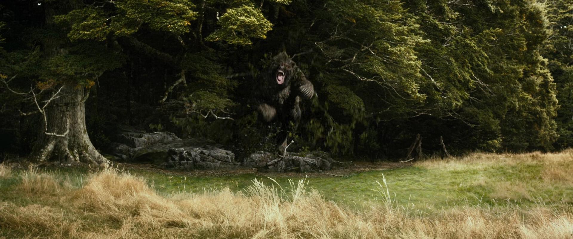 Beorn Wallpapers - Top Free Beorn Backgrounds - WallpaperAccess