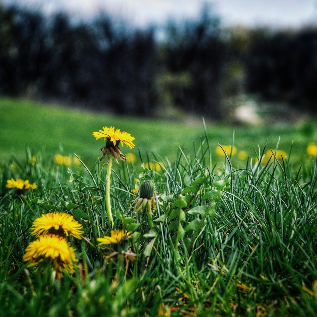 Midwest Wallpapers - Top Free Midwest Backgrounds - WallpaperAccess