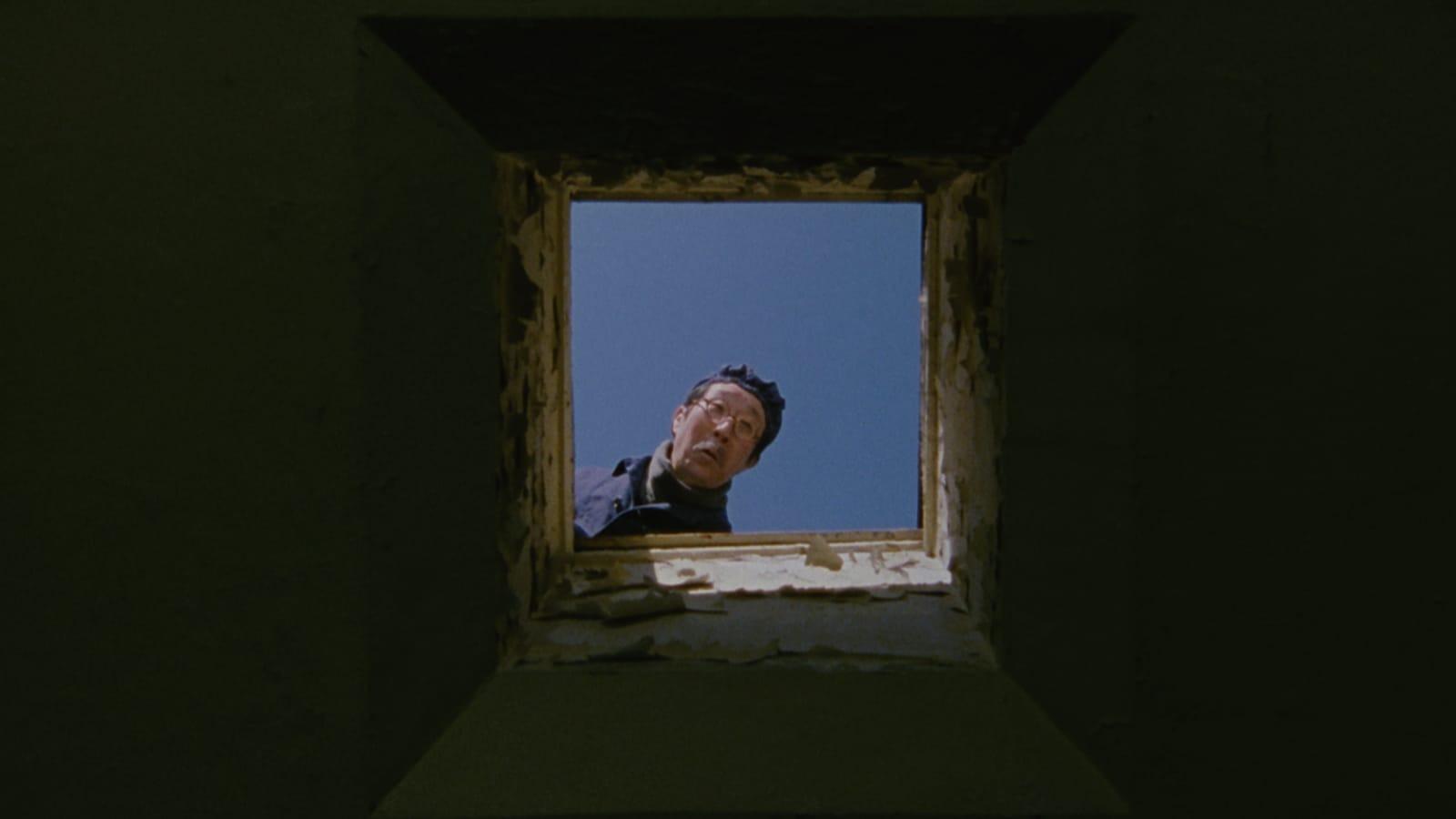 After Life Wallpapers - Top Free After Life Backgrounds - WallpaperAccess