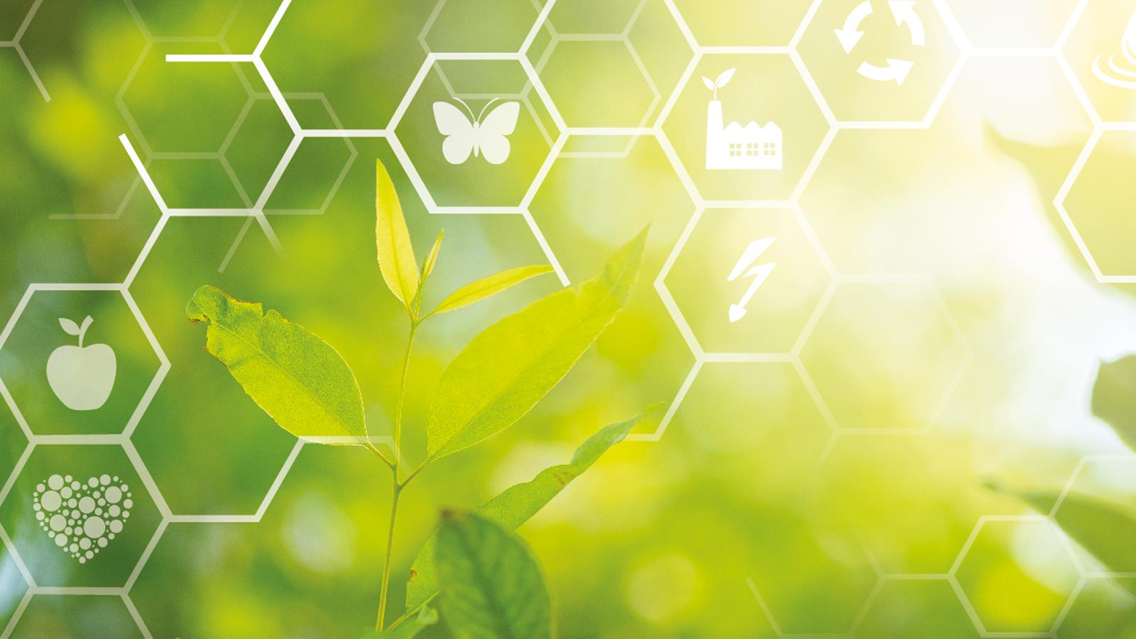 Health Safety Environment Wallpapers - Top Free Health Safety ...