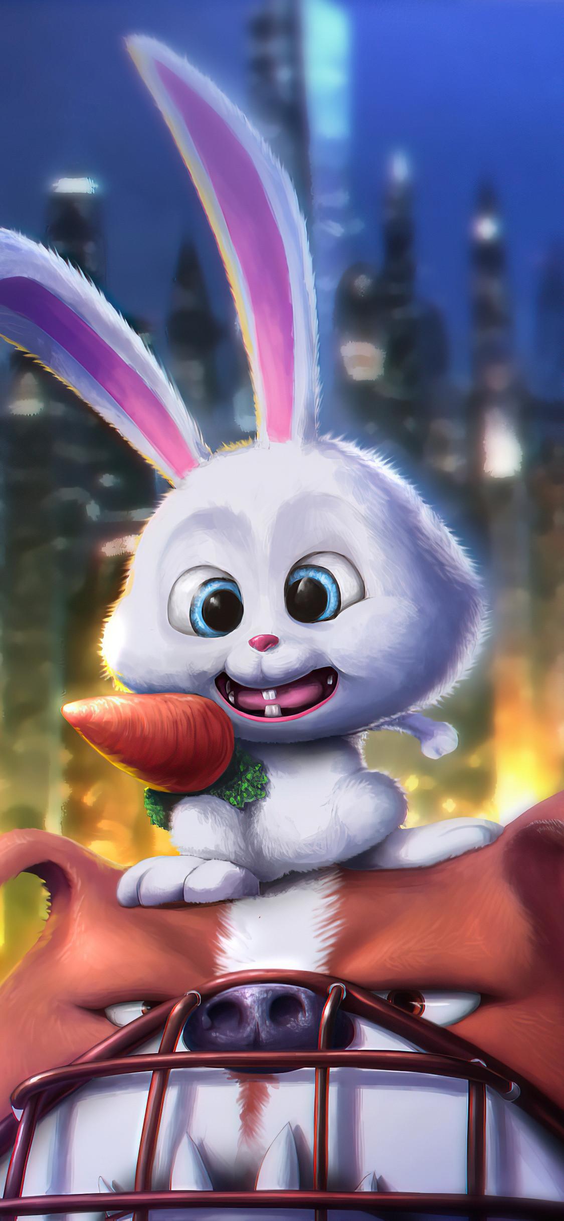 Snowball Rabbit Wallpapers - Top Free Snowball Rabbit Backgrounds ...