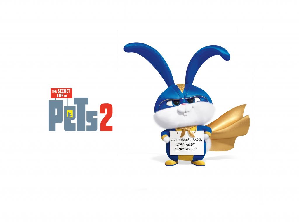 Snowball Rabbit Wallpapers - Top Free Snowball Rabbit Backgrounds ...