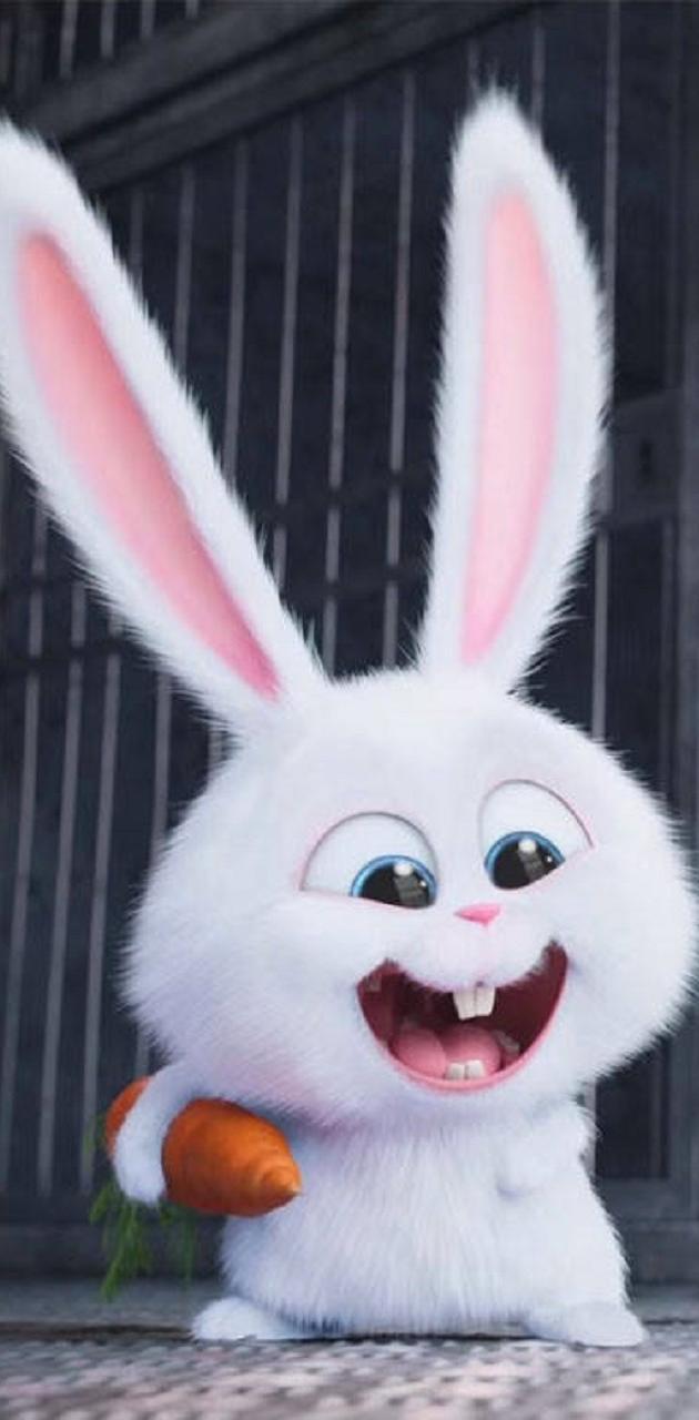 Snowball Rabbit Wallpapers - Top Free Snowball Rabbit Backgrounds ...