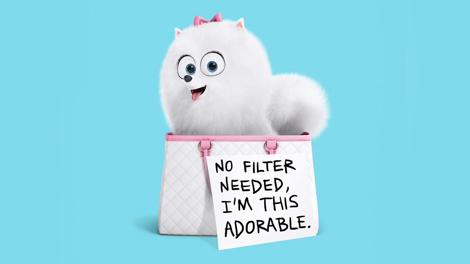 Snowball Rabbit Wallpapers - Top Free Snowball Rabbit Backgrounds ...